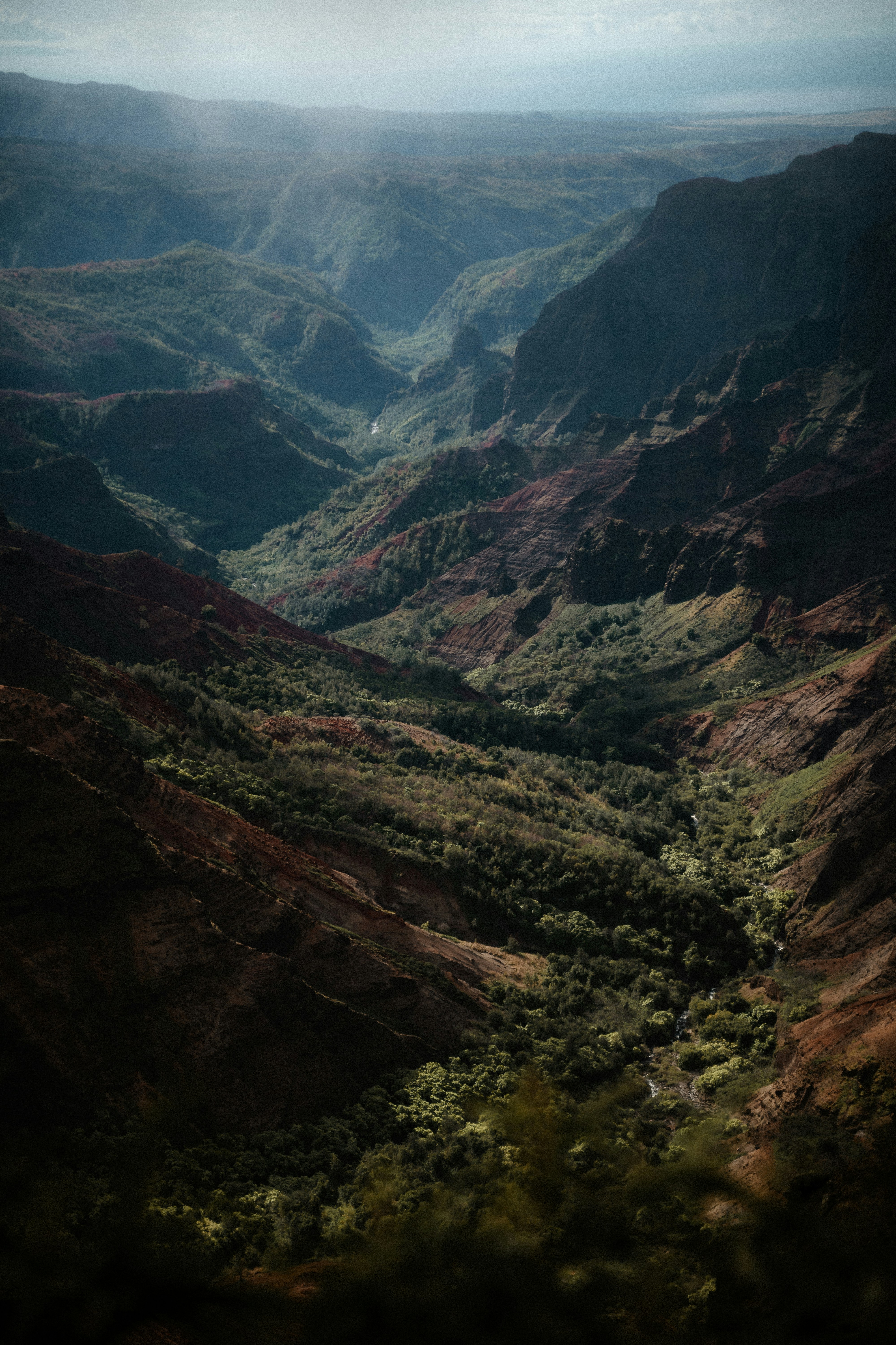 A large canyon with trees photo – Free Mountain Image on Unsplash