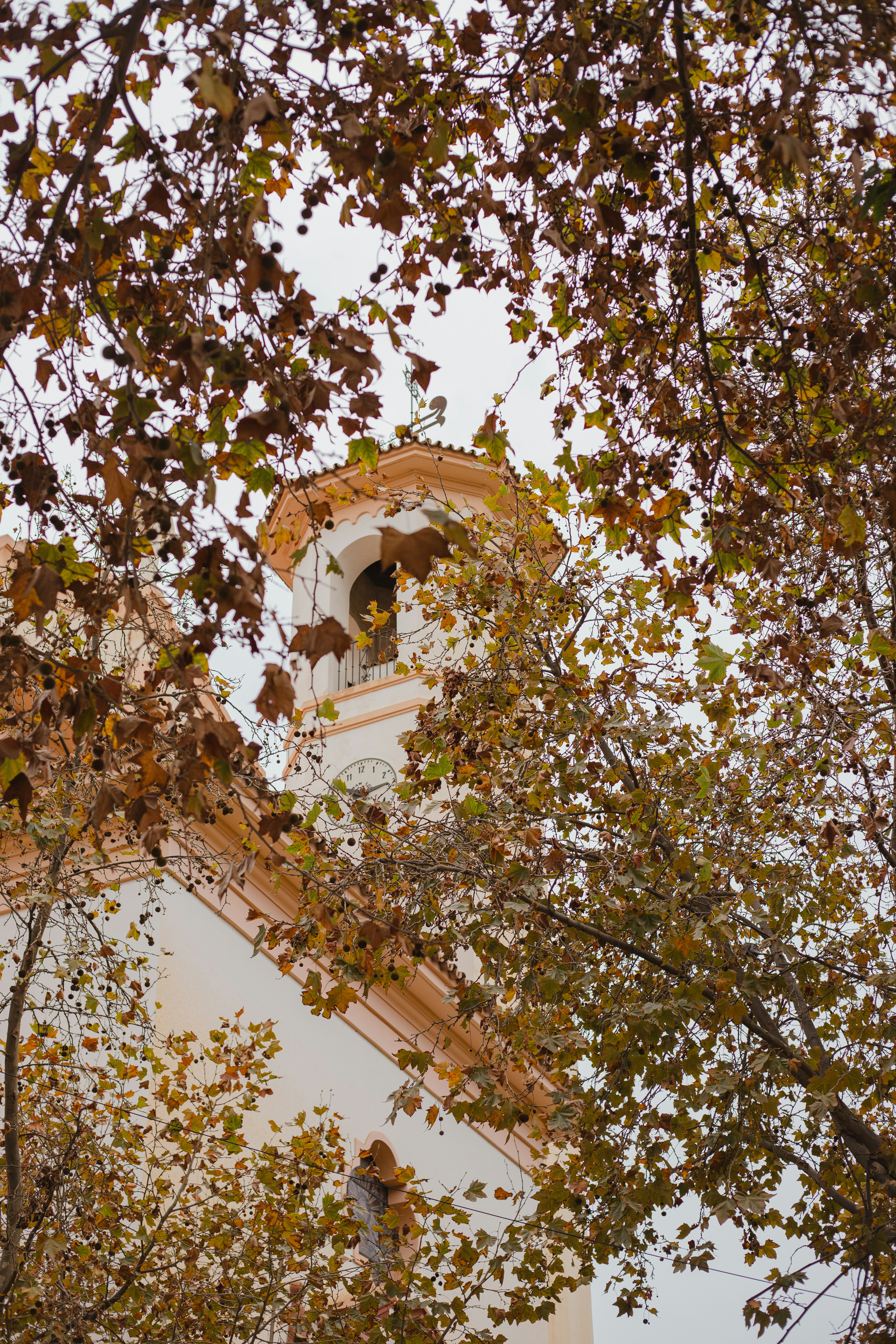 Through the Autumn Veil: Clock Tower Rising from Framed Foliage