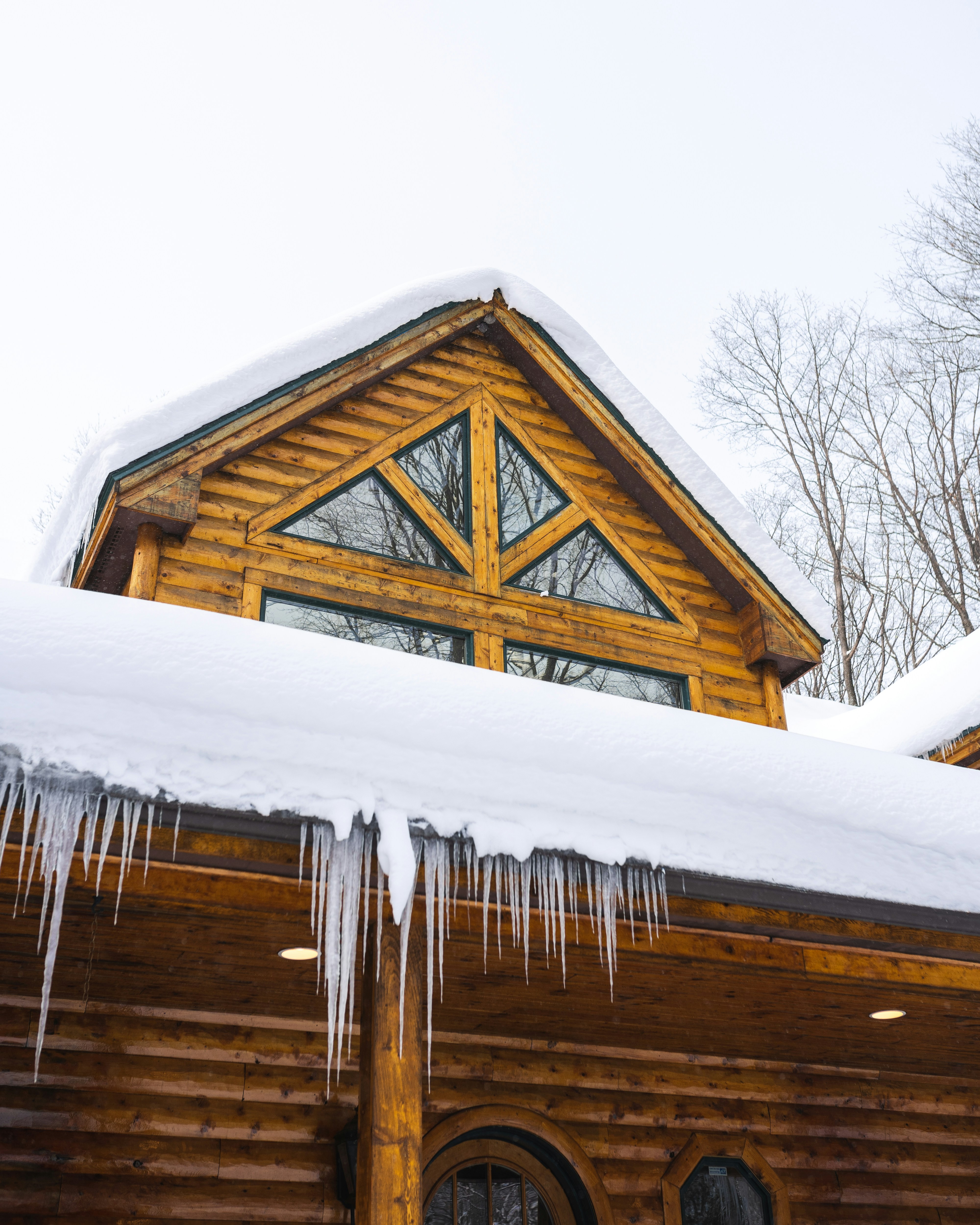 Photo by Jason Hawke 🇨🇦 with Sony Alpha 7 III