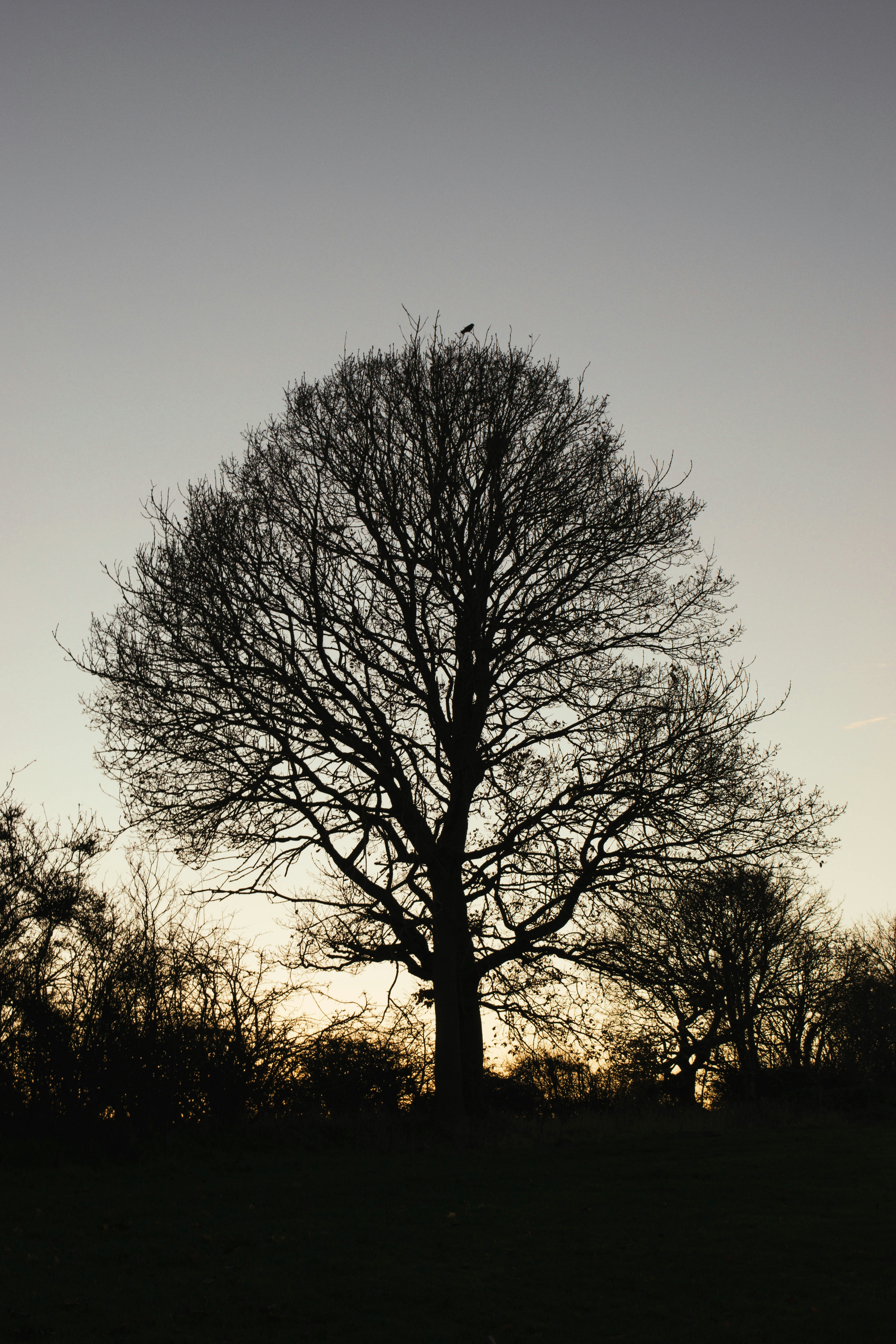 Photo by Jesse Doka with Nikon D5300