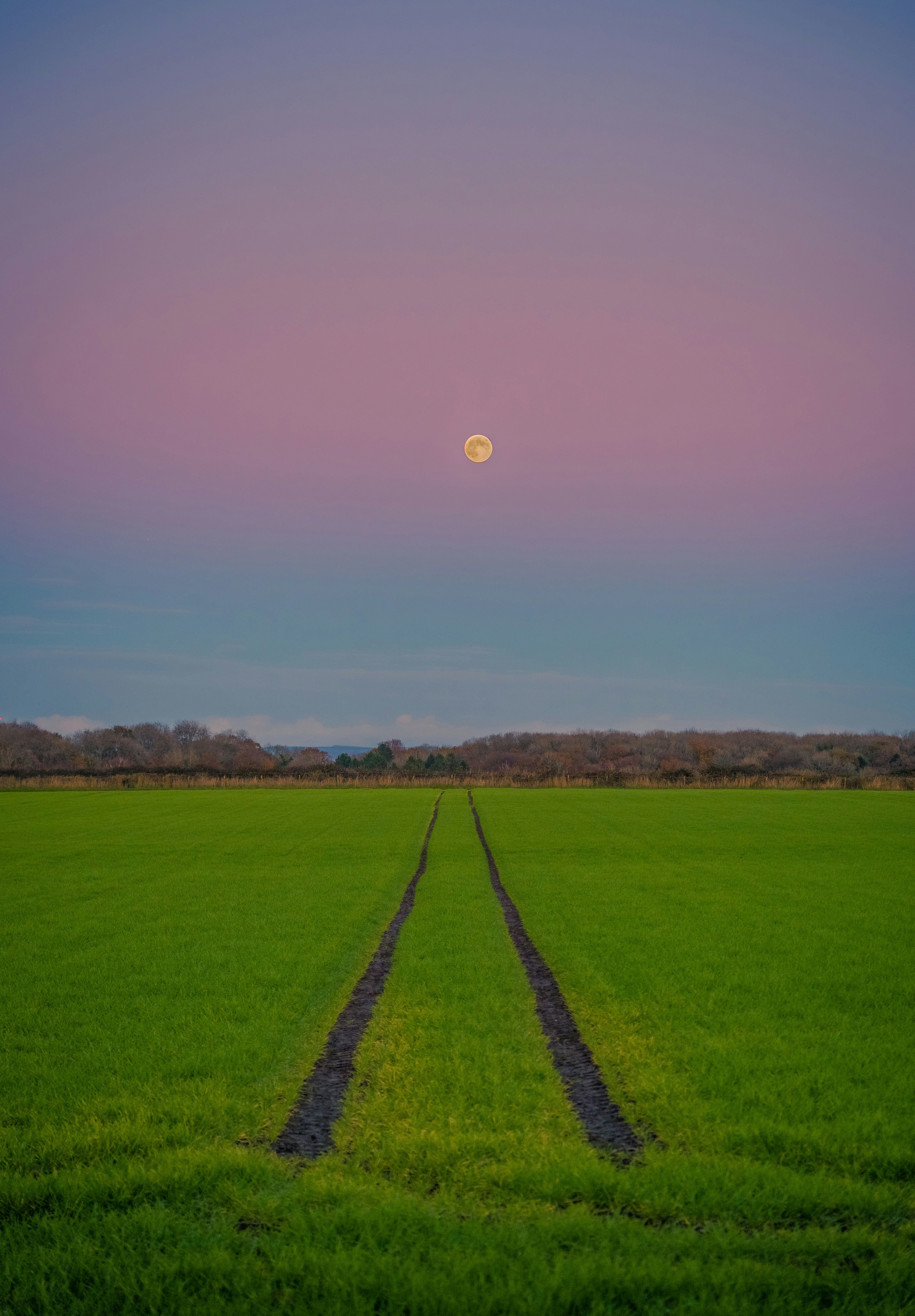 Moonrise Along Converging Field Tracks under a Pastel Dusk