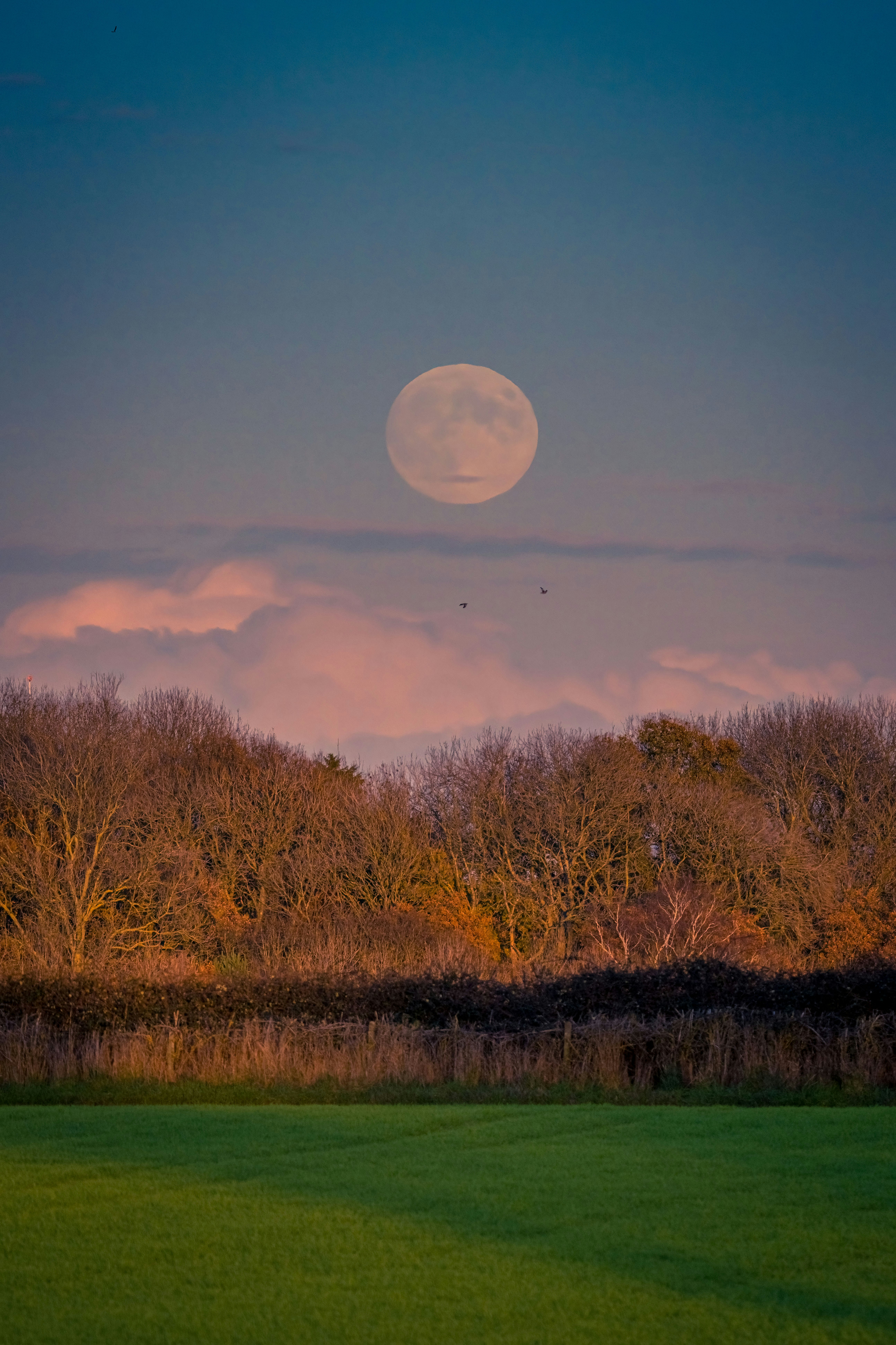 a moon over a lake
