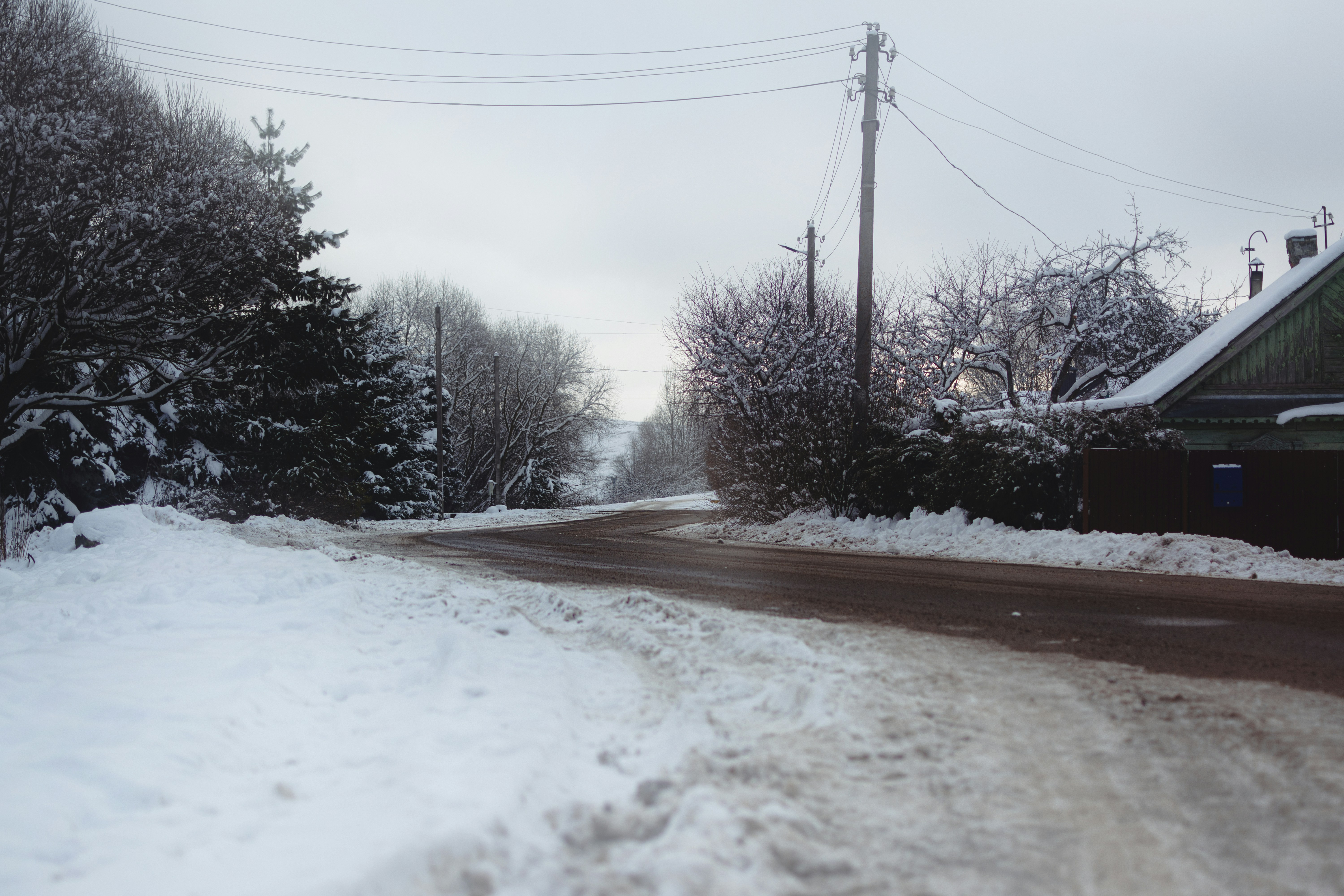 Winter Quiet on a Snow-Scoured Suburban Road