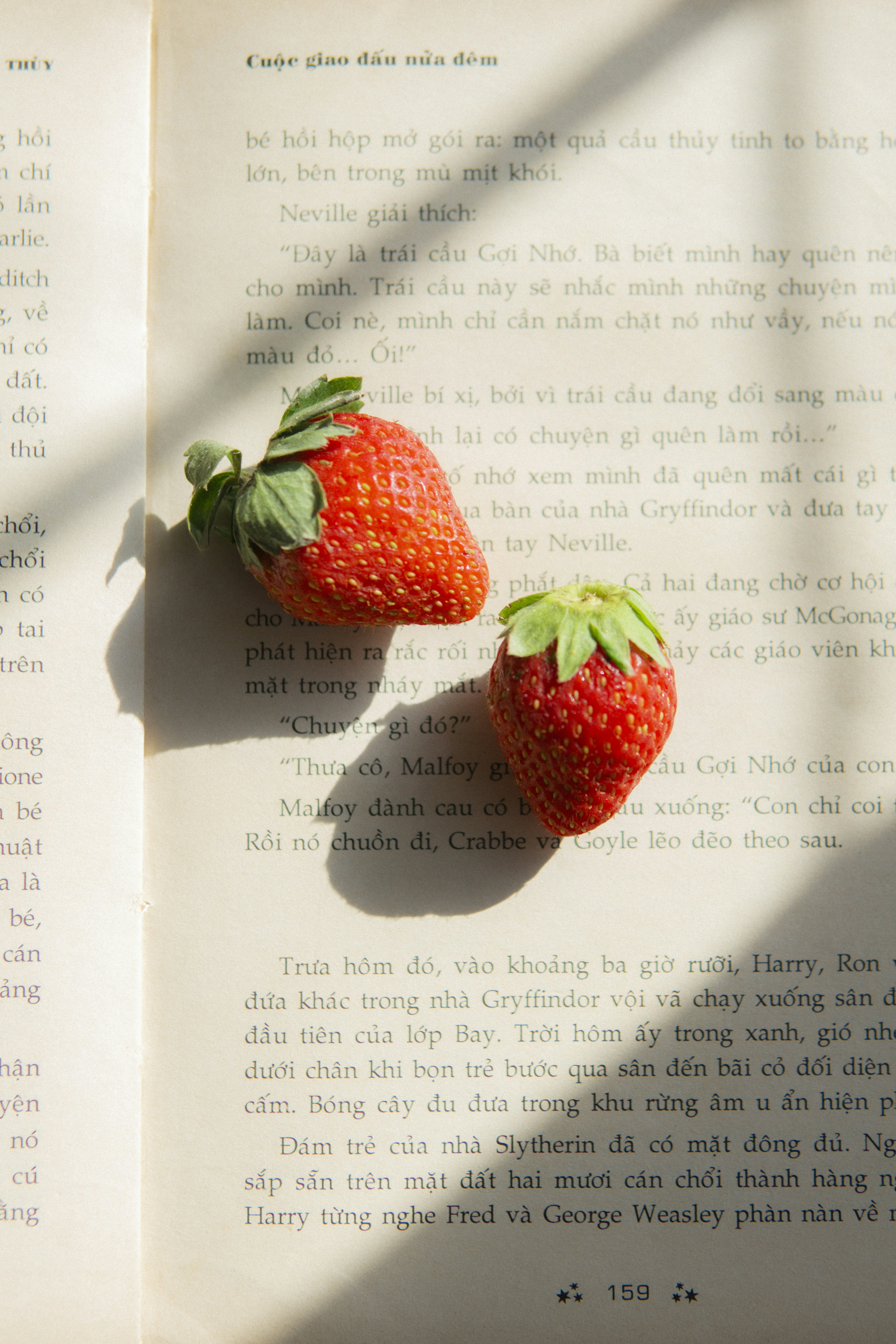 Strawberries on a Quiet Page: A Close-Pressed Moment