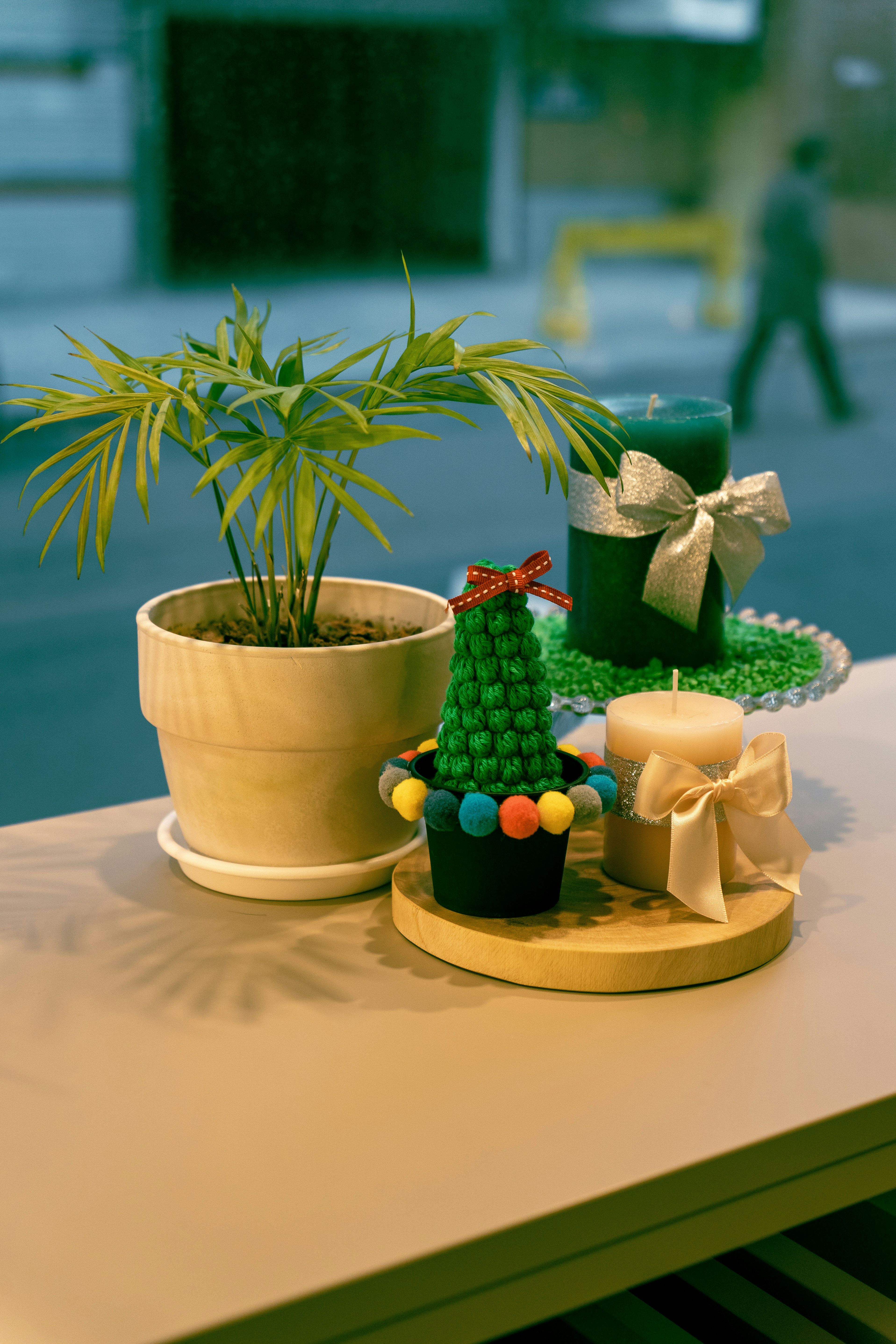 a group of plants in pots