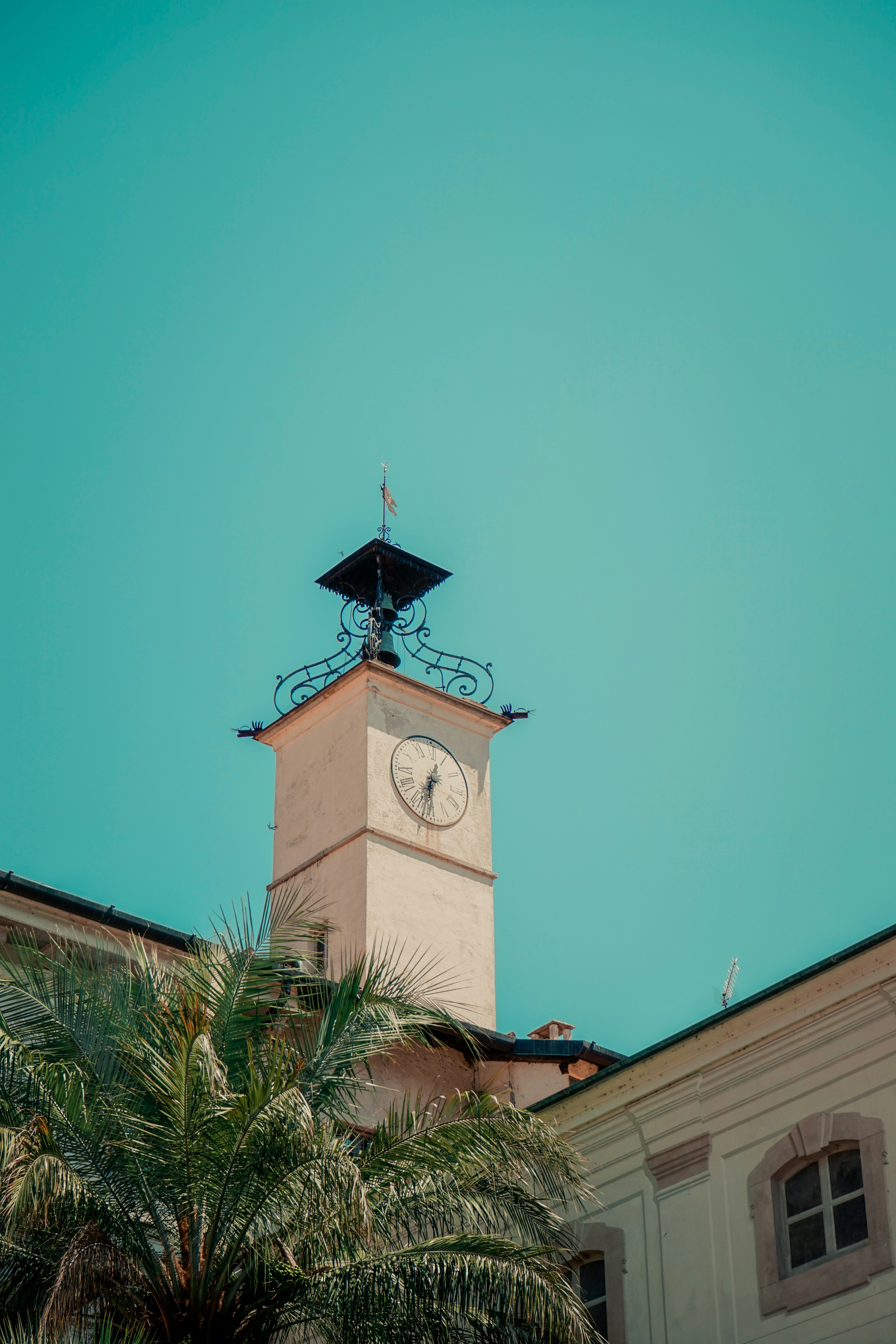 Teal Sky Over a Clock Tower Framed by Palm Fronds