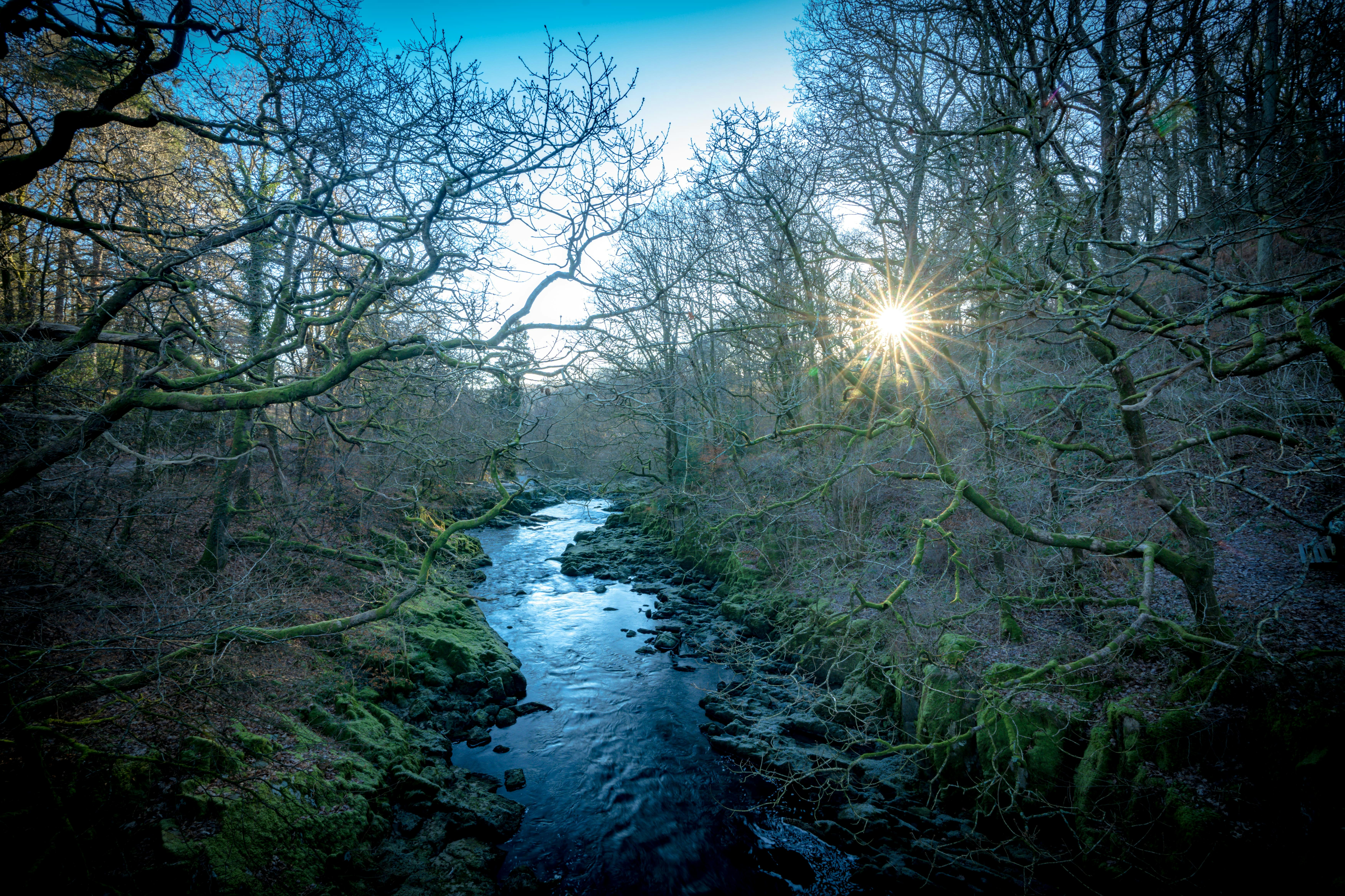 A river with trees on the side photo – Free Elterwater Image on Unsplash