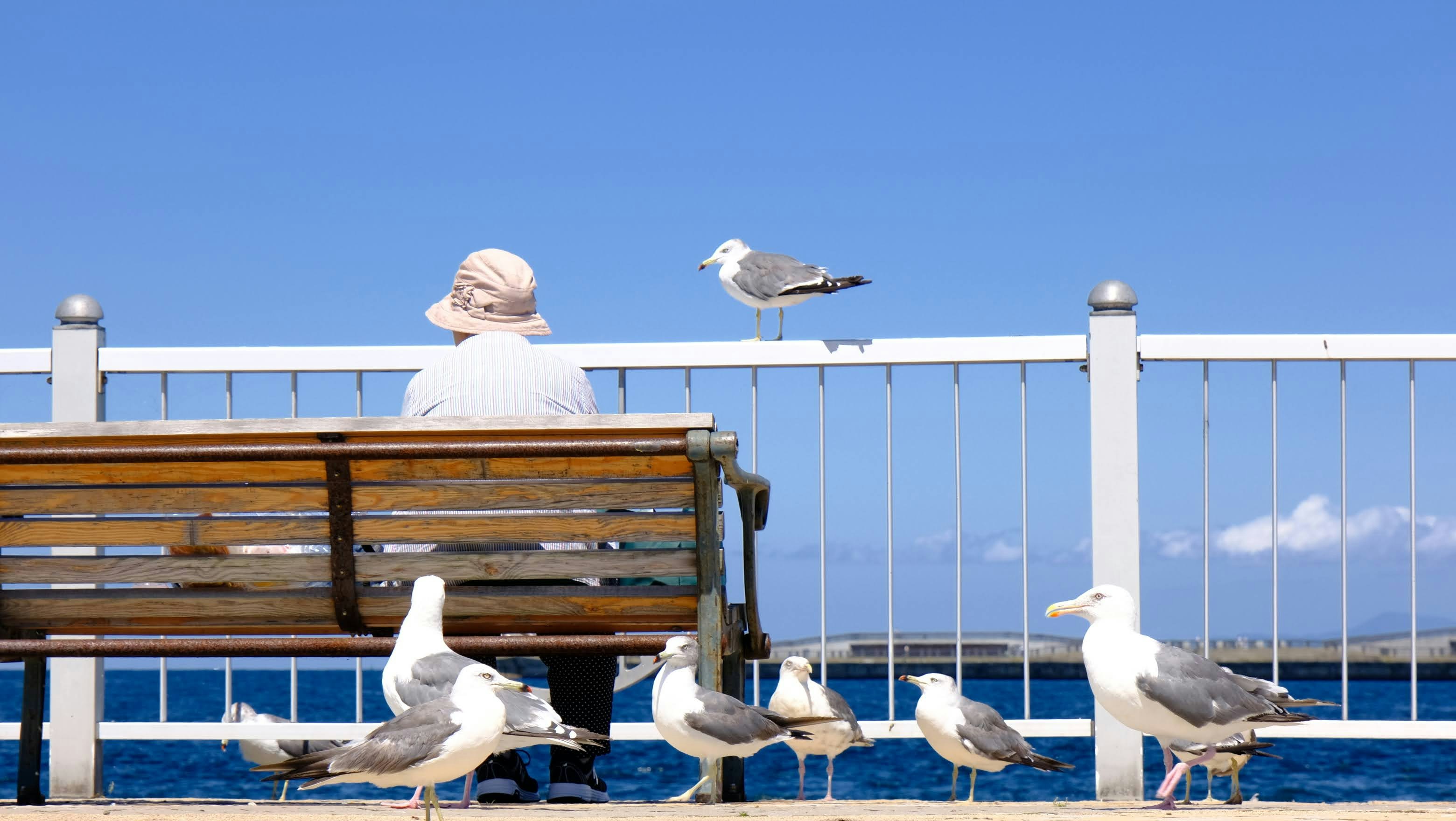 Person With Background Pictures | Download Free Images on Unsplash