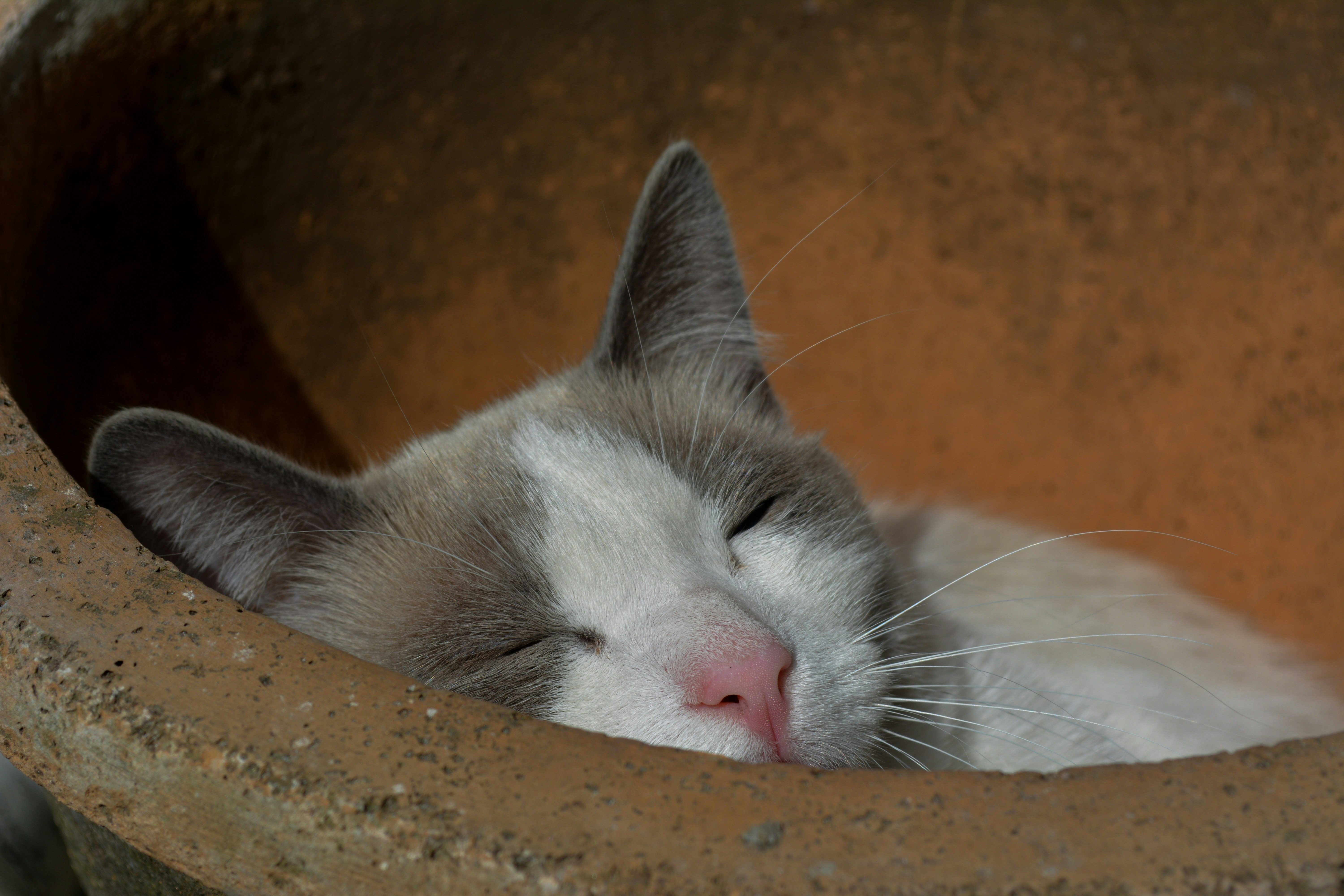 Slumber in the Clay Ring