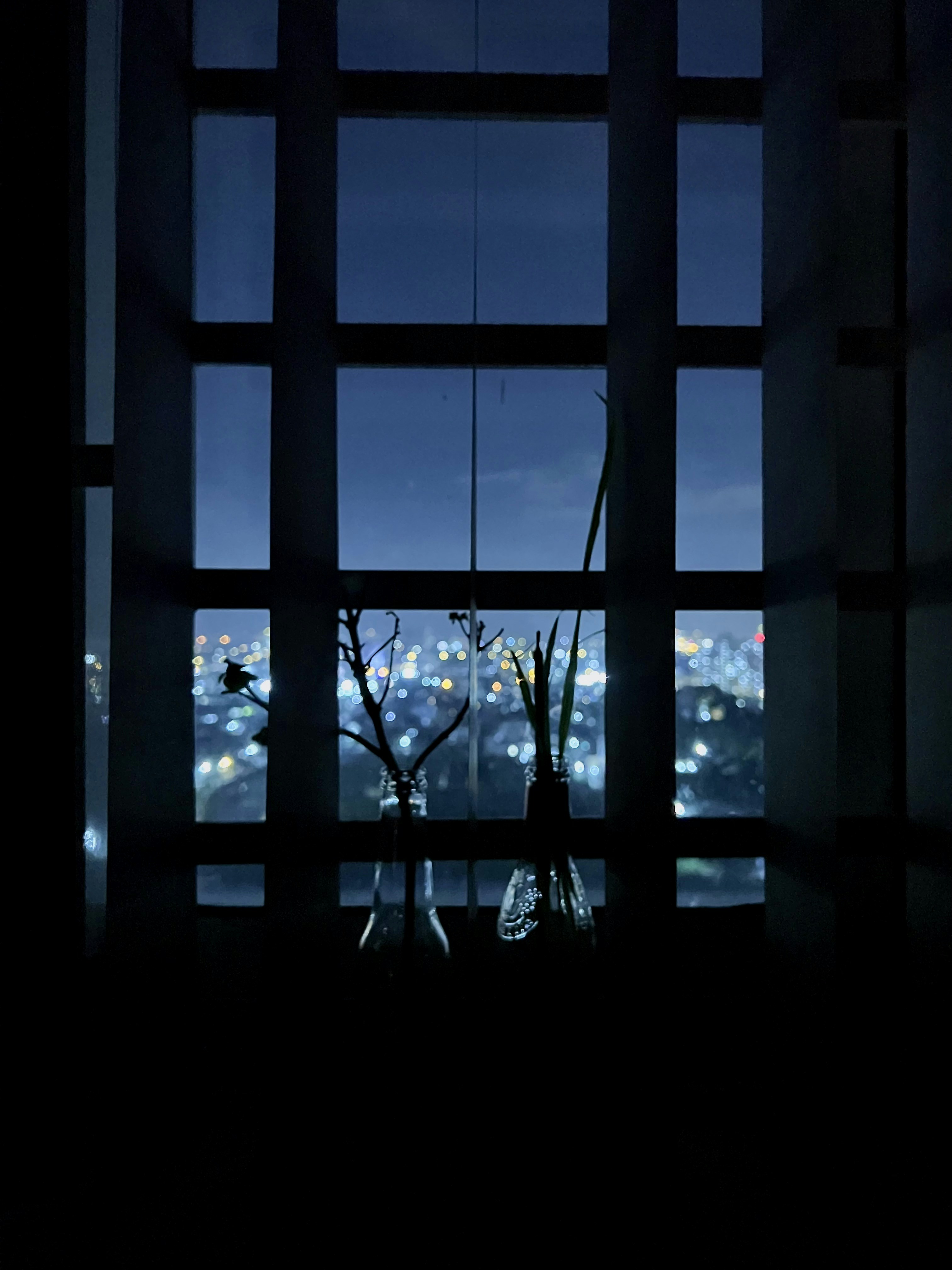 Window Night Pictures | Download Free Images on Unsplash