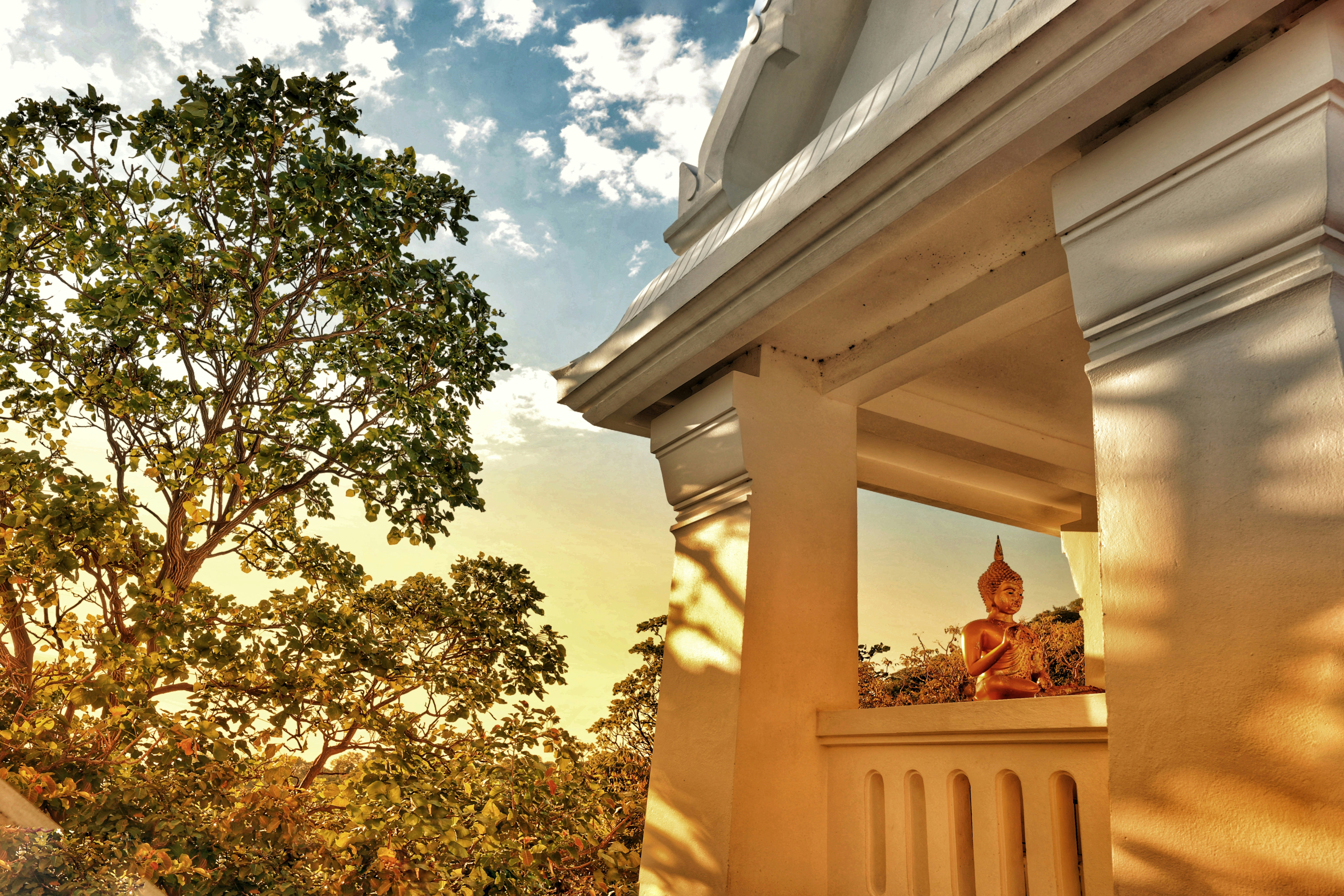 Sunlit Buddha on a Veranda: Geometry, Light, and Leaves