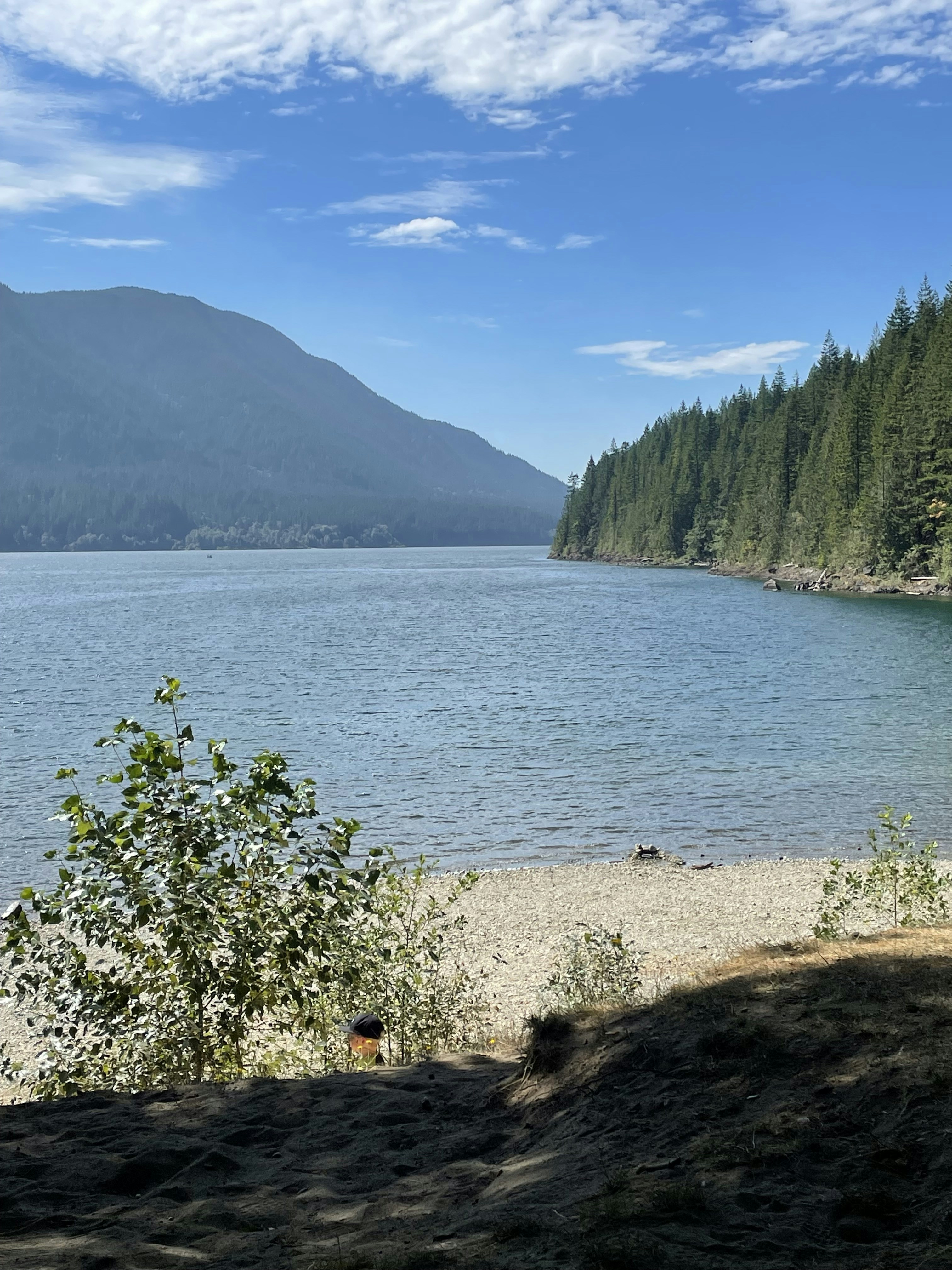Lakeside Panorama: Forested Cove and Distant Peak