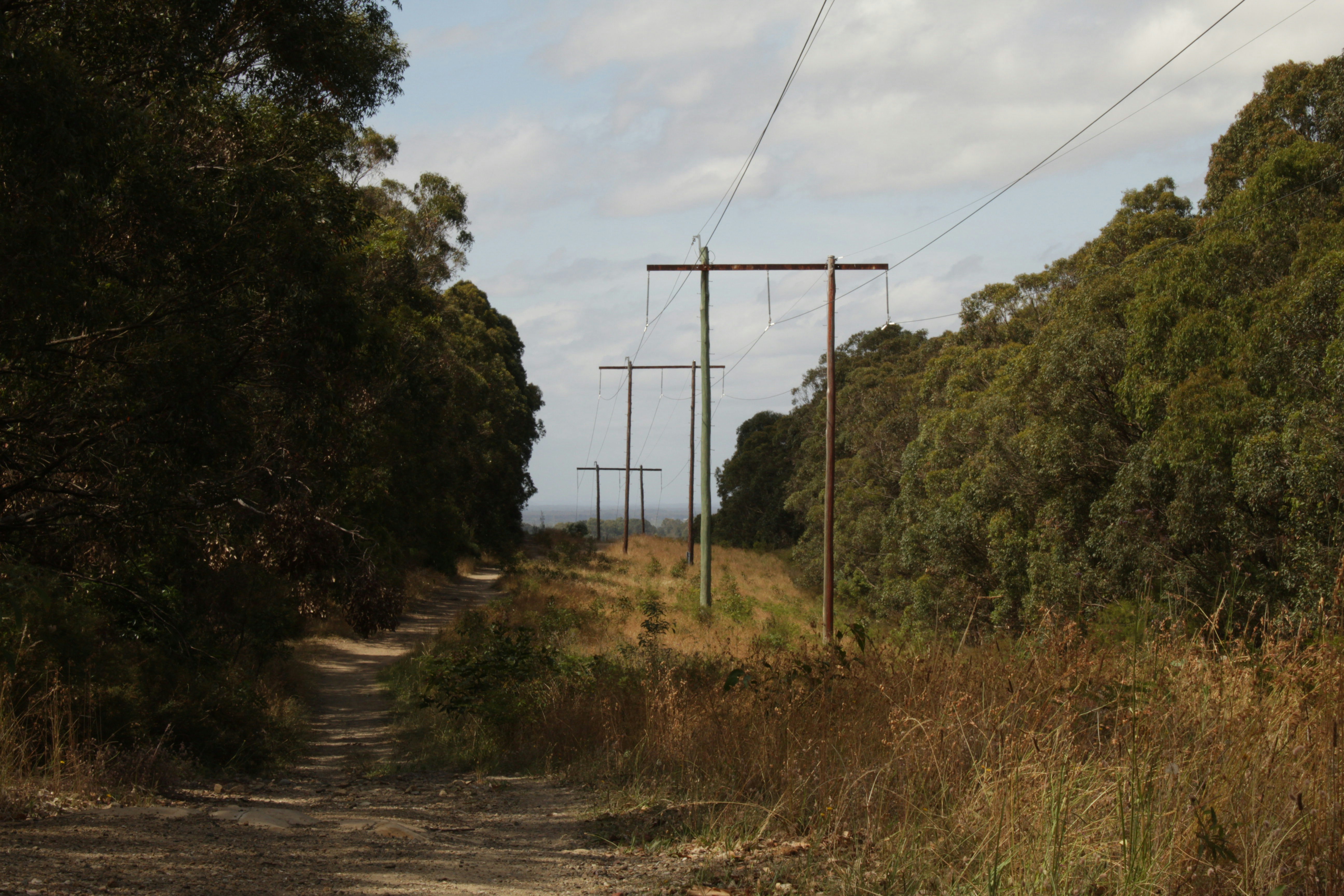 Dusty Path, Quiet Poles: A Countryside Corridor Toward the Horizon