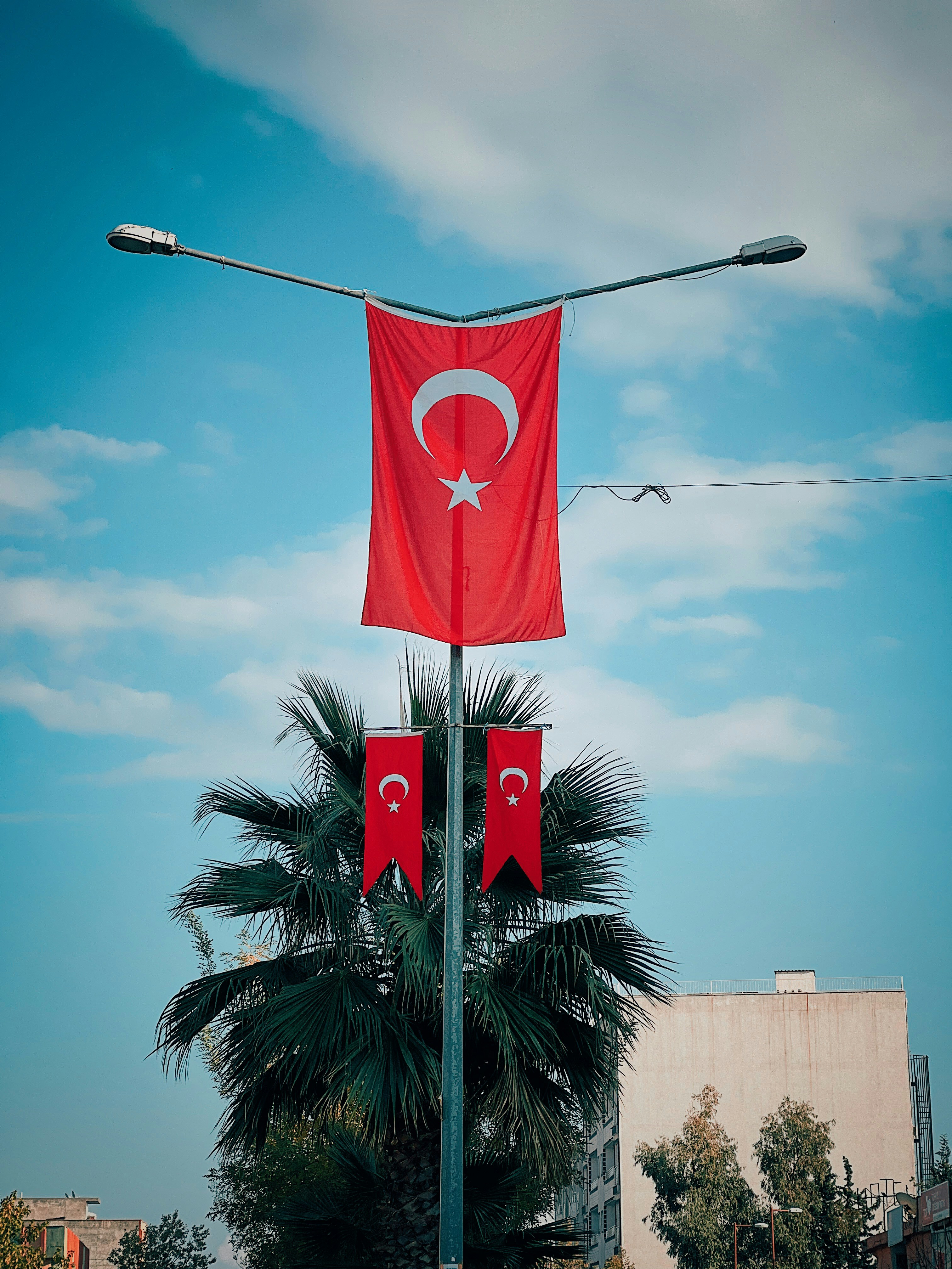 a flag on a pole