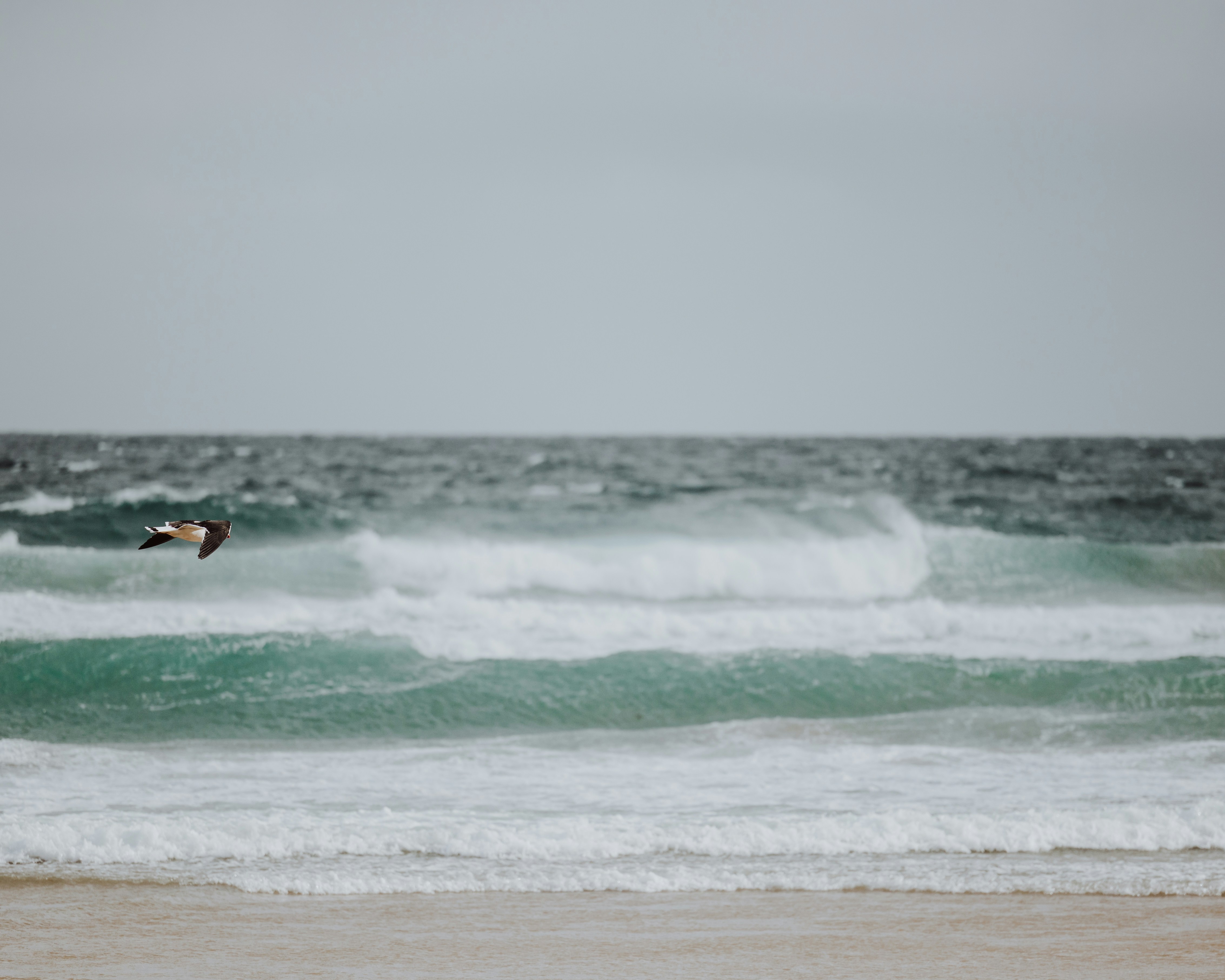 Photo by Josh Withers with Canon EOS R6