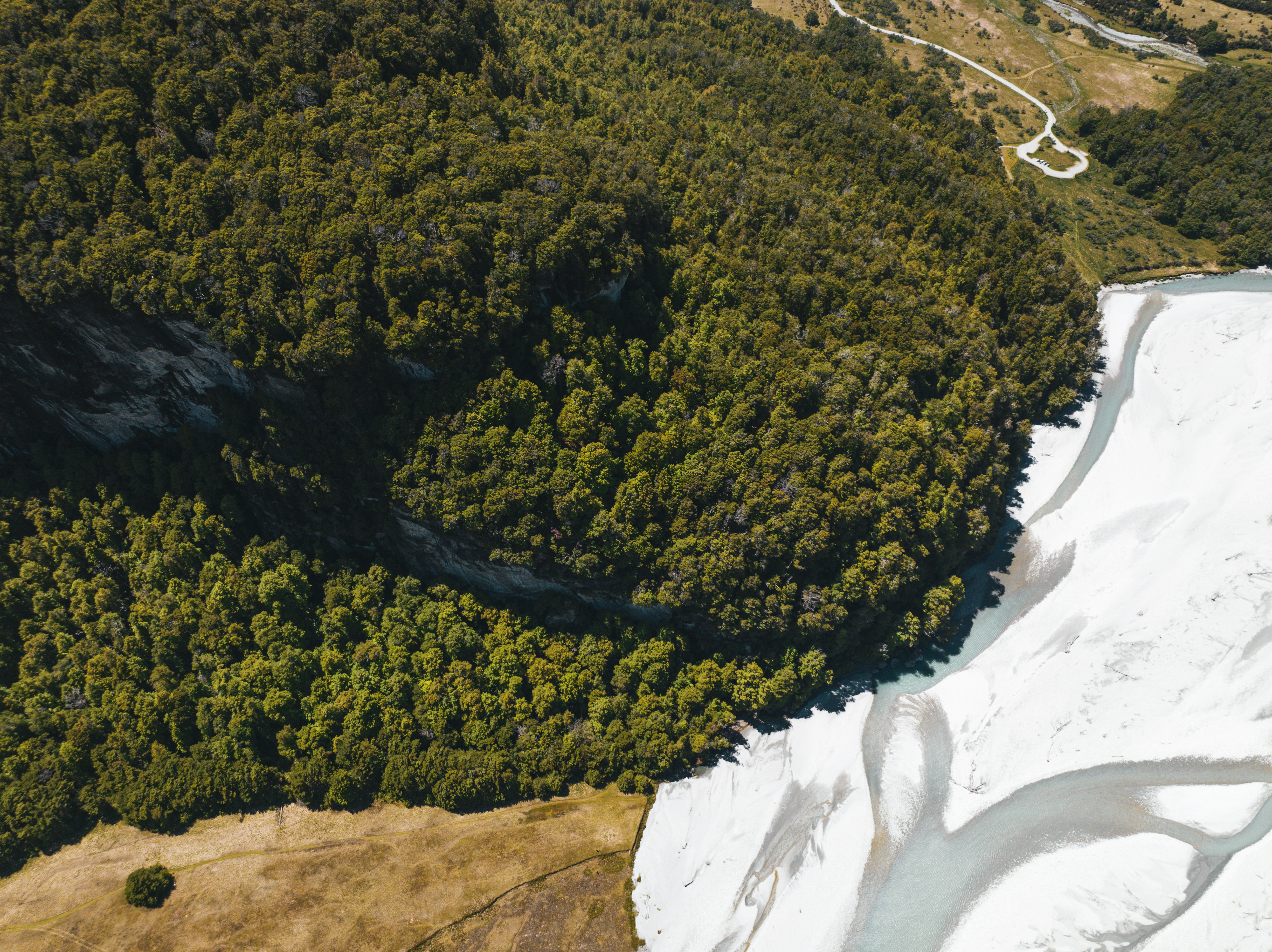 A river flowing through a forest photo – Free Queenstown-lakes district ...