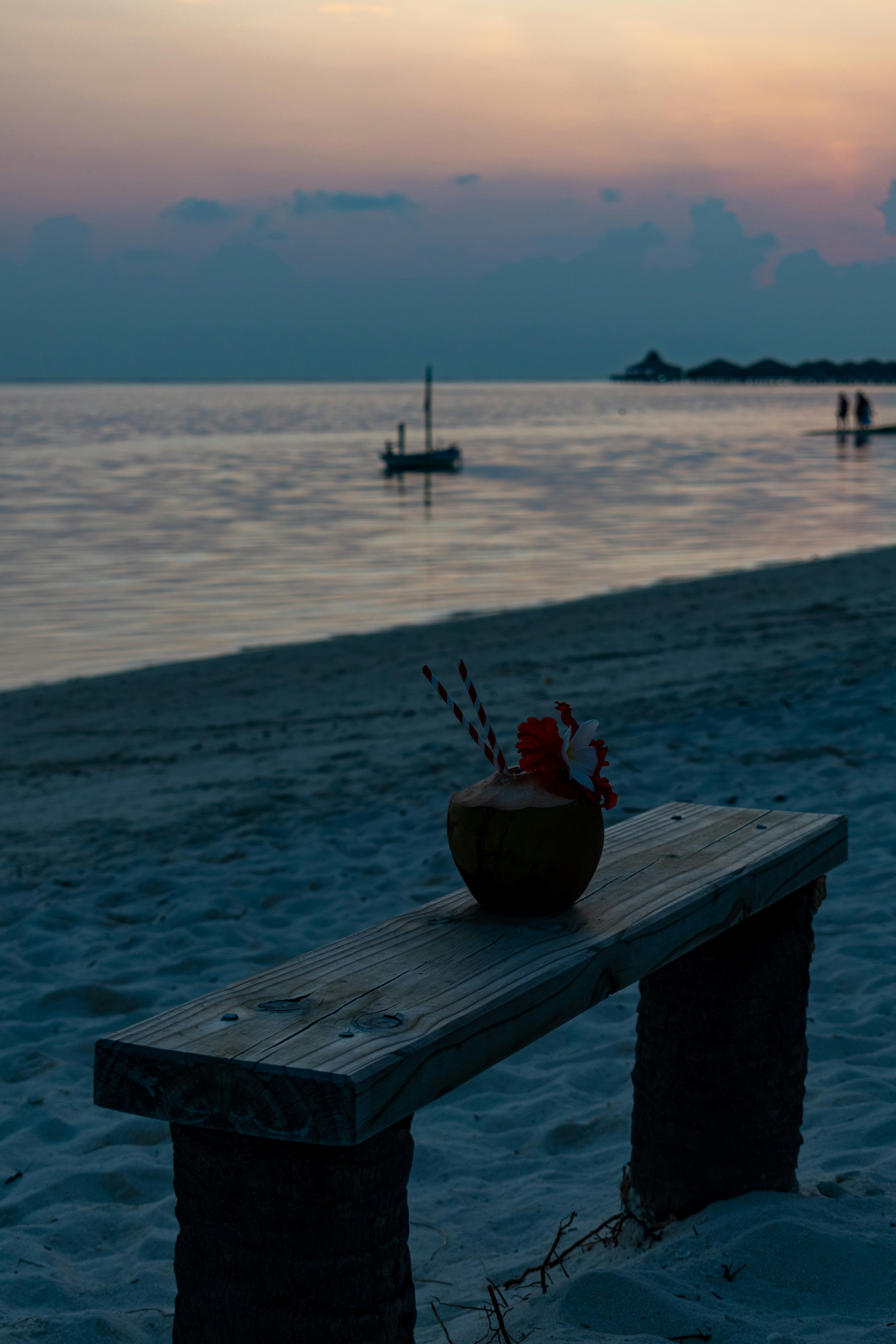 Coconut on a Quiet Beach Bench at Dusk