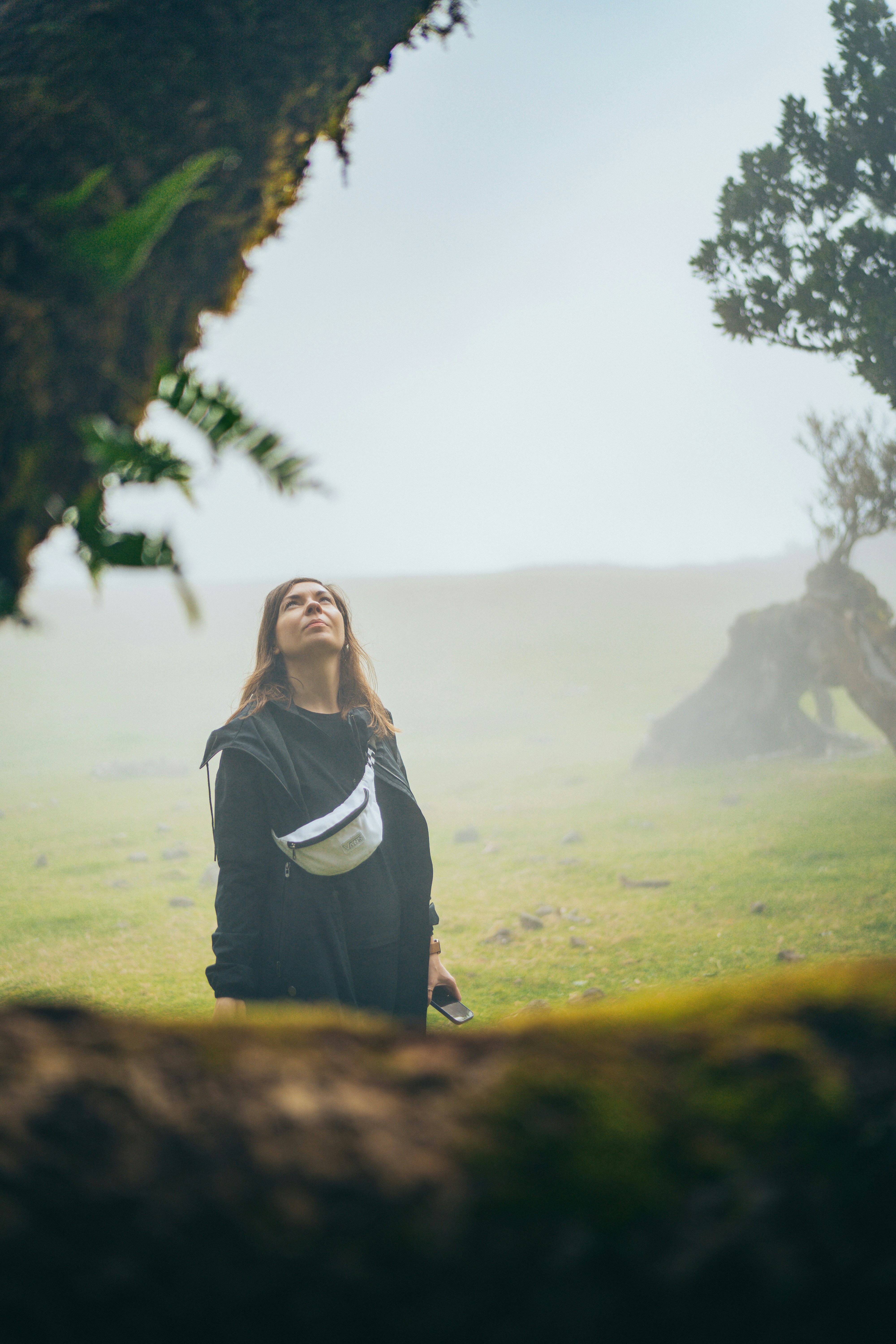 Lone Wanderer Under a Veil of Fog