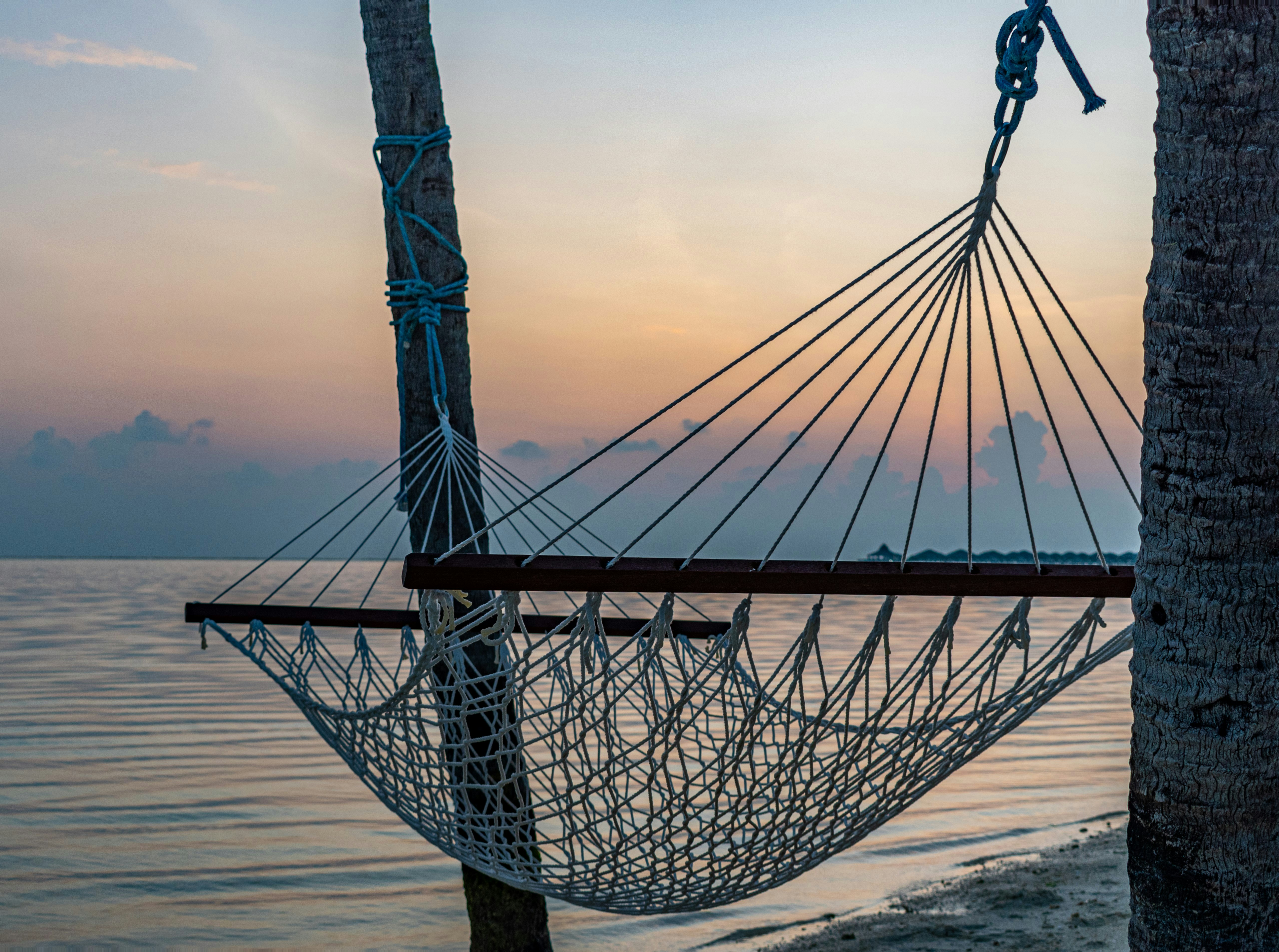 Dusk Between Palms: A Hammock Over Calm Seas