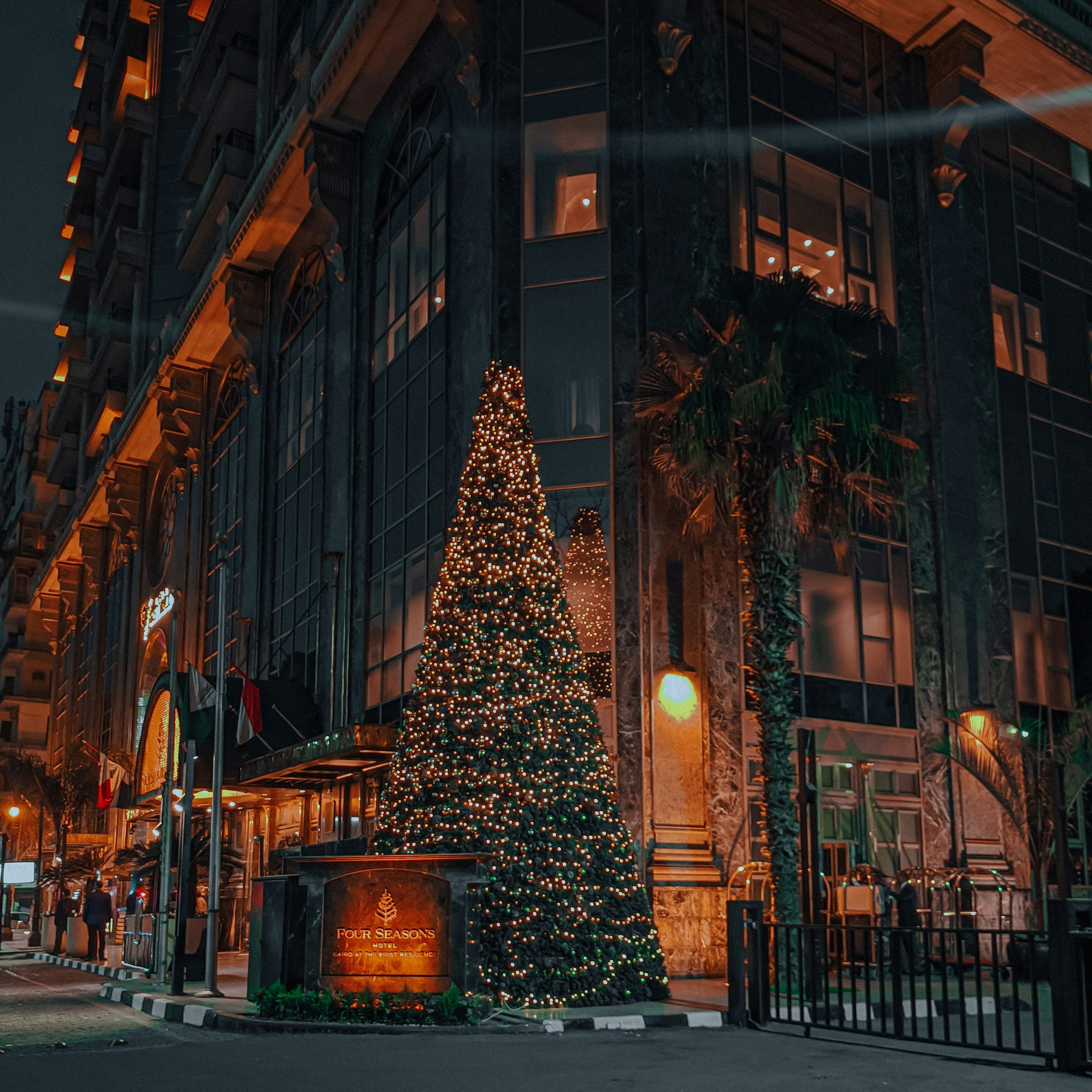Night photograph of a tall, illuminated Christmas tree on a city sidewalk, framed by a glass-fronted building and glowing street lamps.