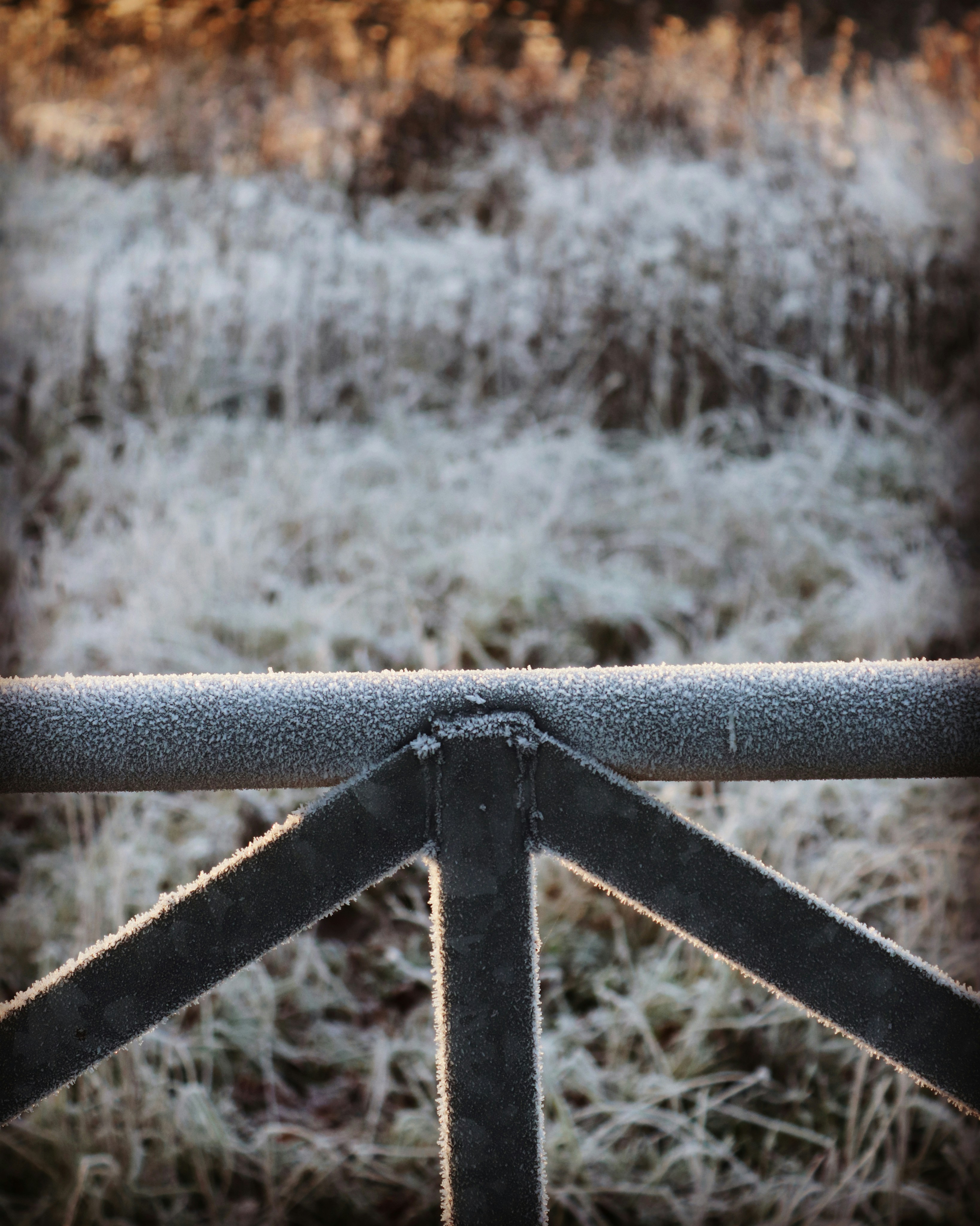 Dawn on Ice: Frosted Rail Framing Winter Light