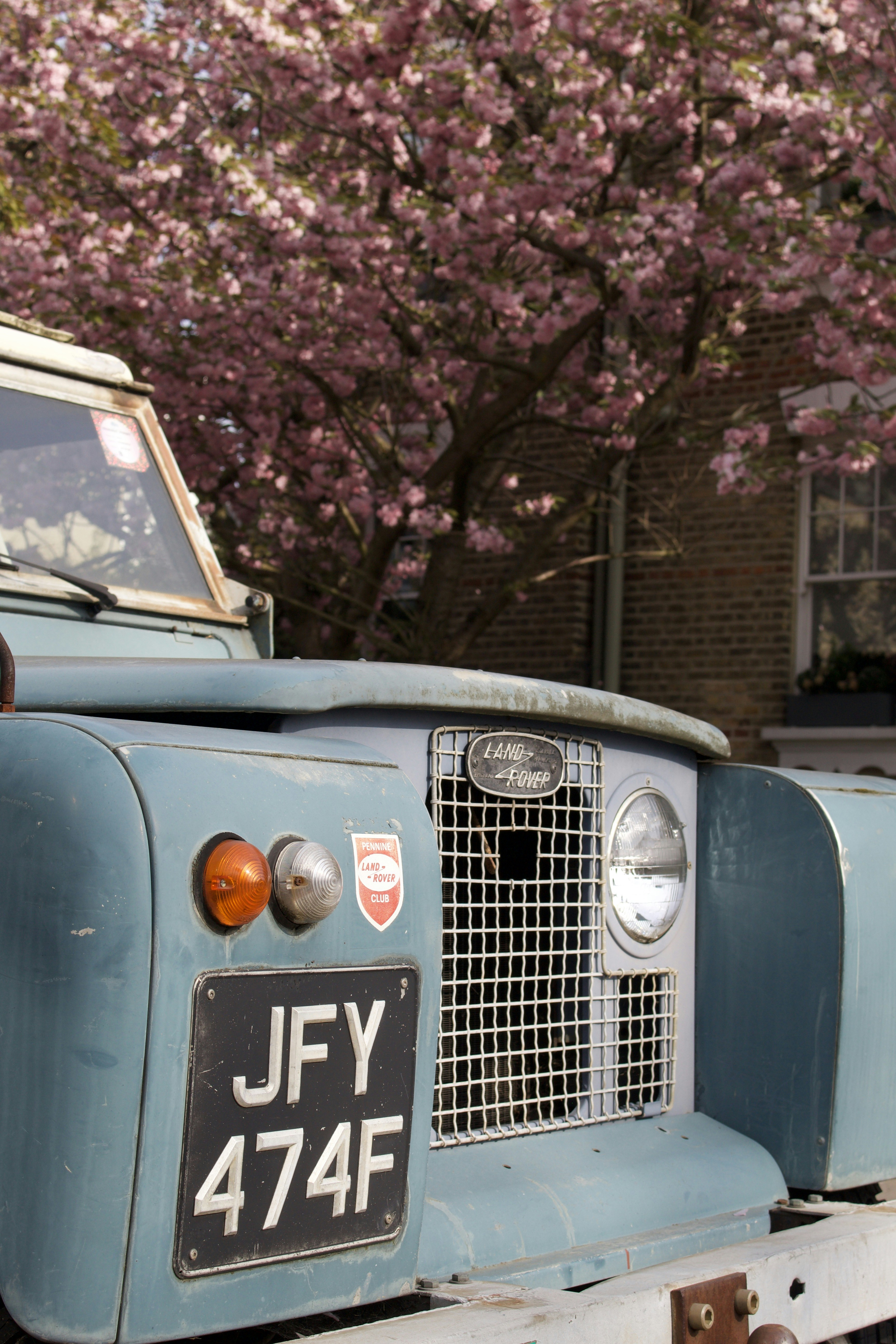 Photo by Kayla-Paige Raper with Canon EOS 1300D