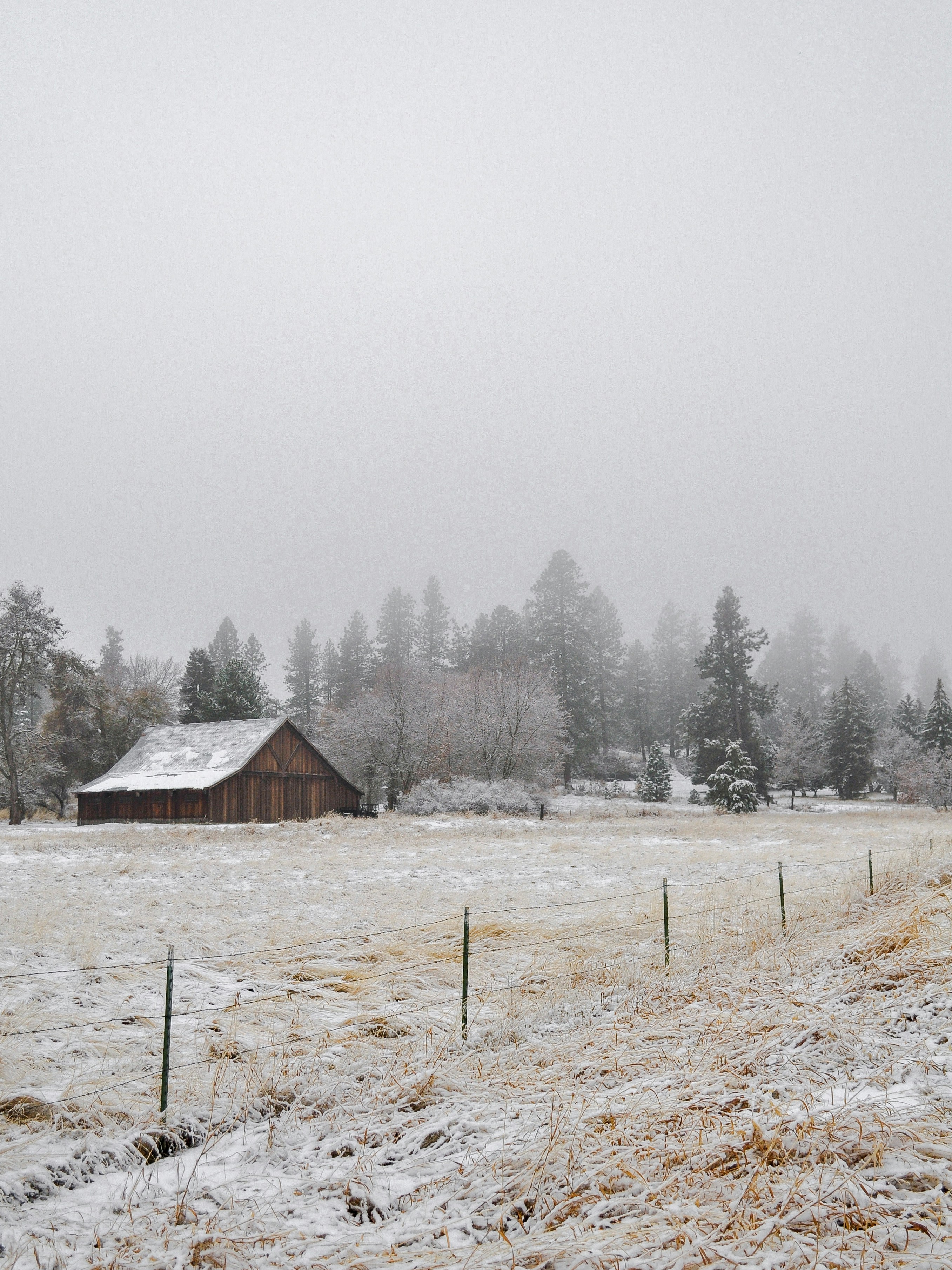 A barn in a snowy field photo – Free Spokane Image on Unsplash