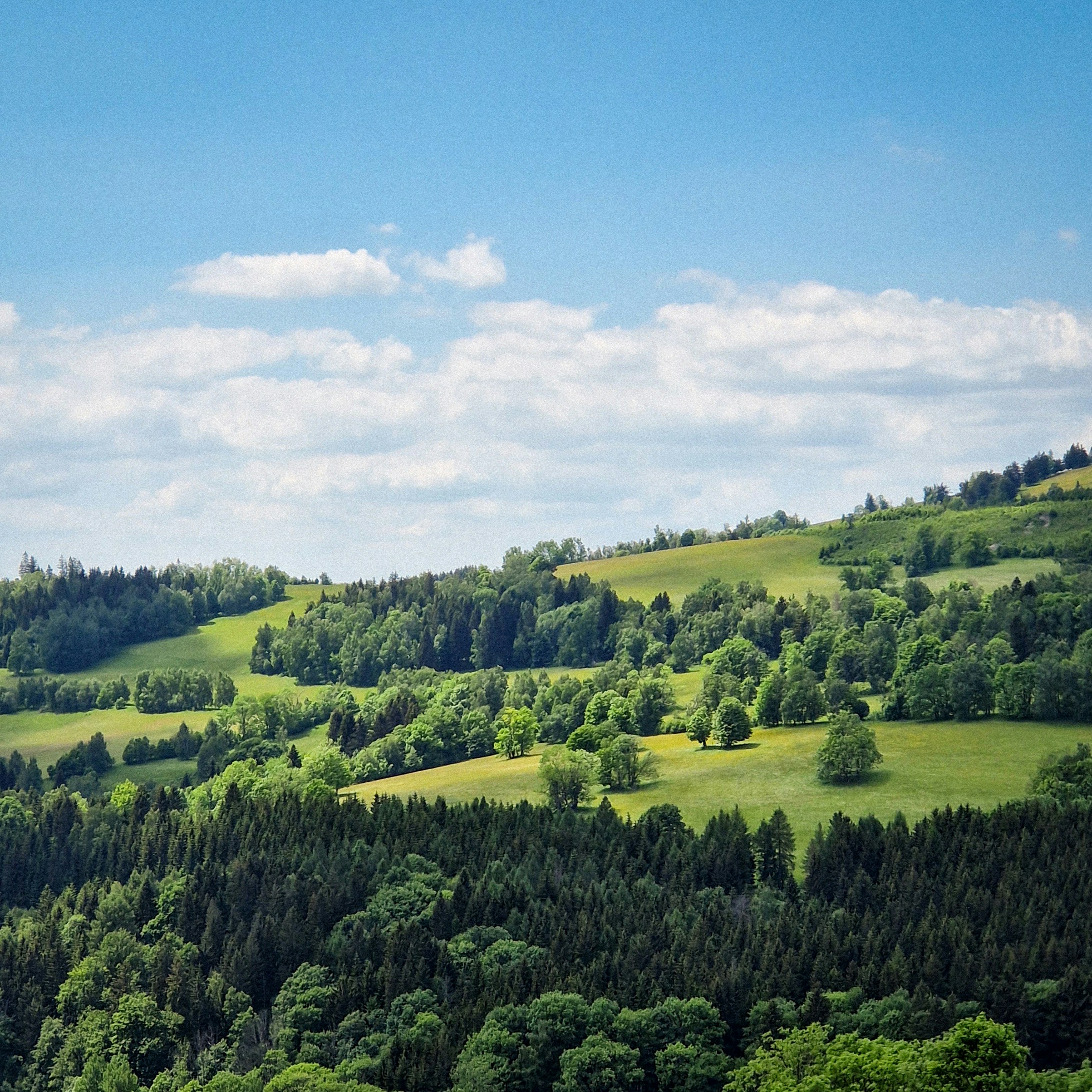 A lush green hillside covered in trees under a blue sky photo – Free ...