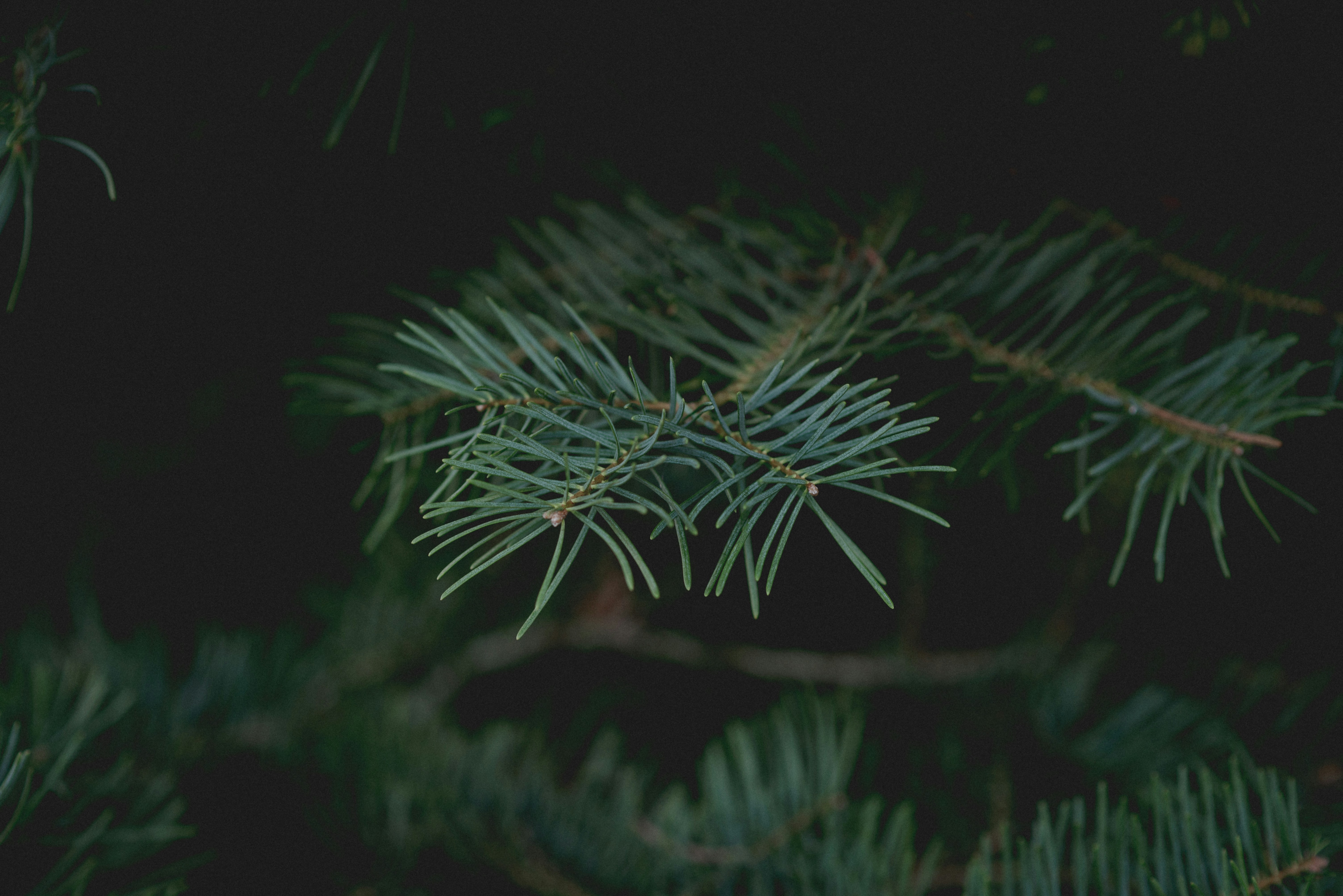 Photo by Elly M with Nikon D750