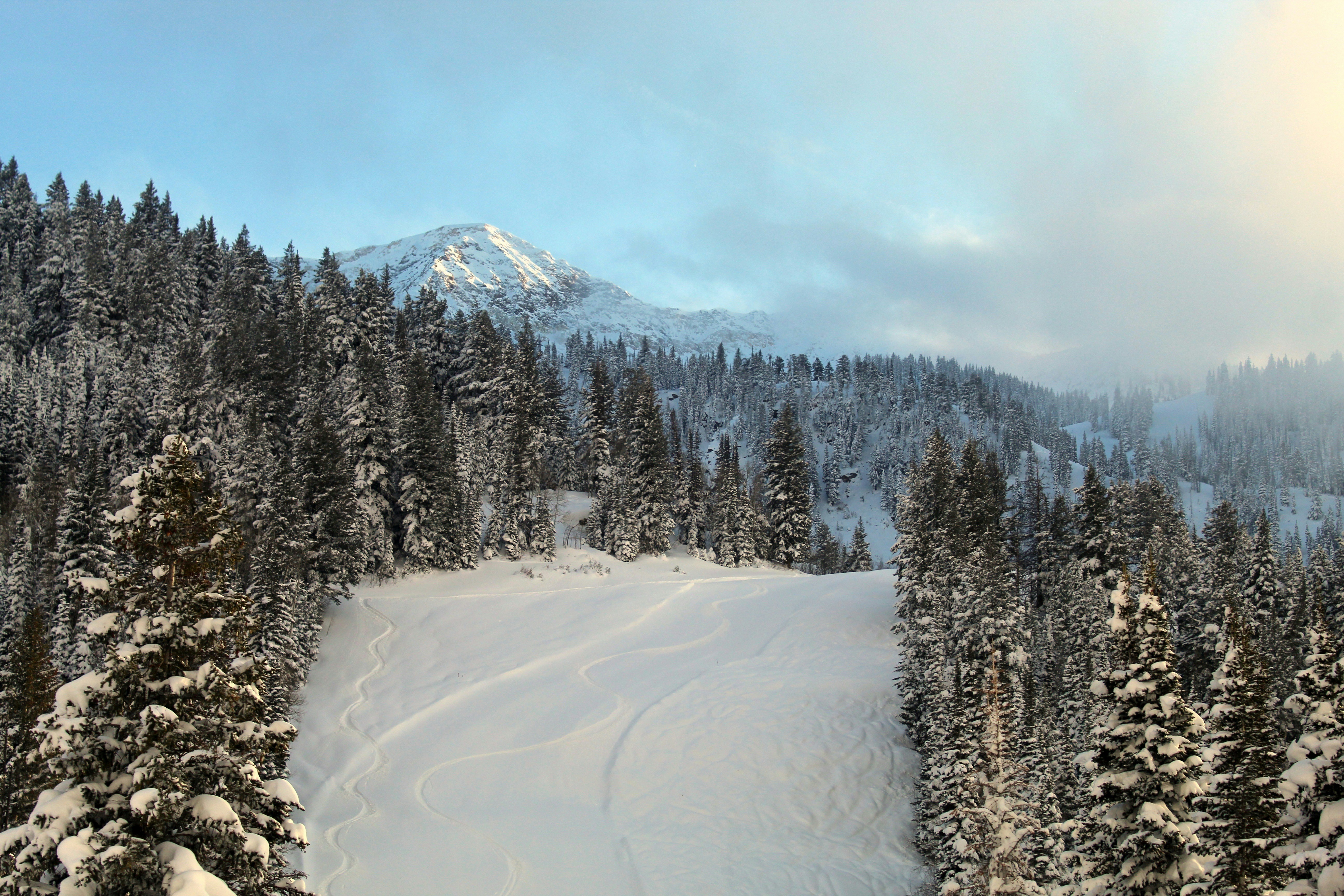 Erin Testone (@eertest) | Unsplash Photo Community
