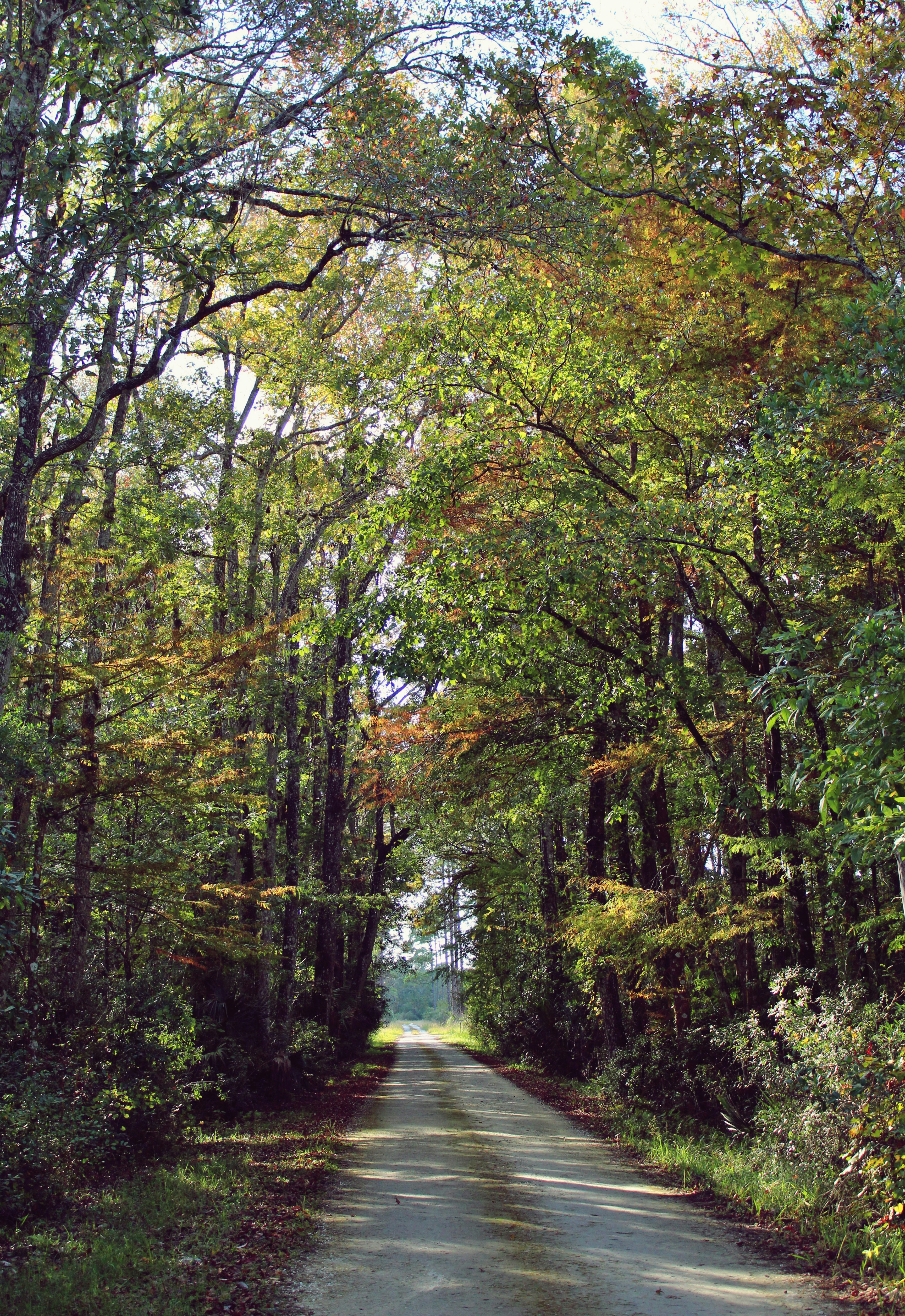 Erin Testone (@eertest) | Unsplash Photo Community