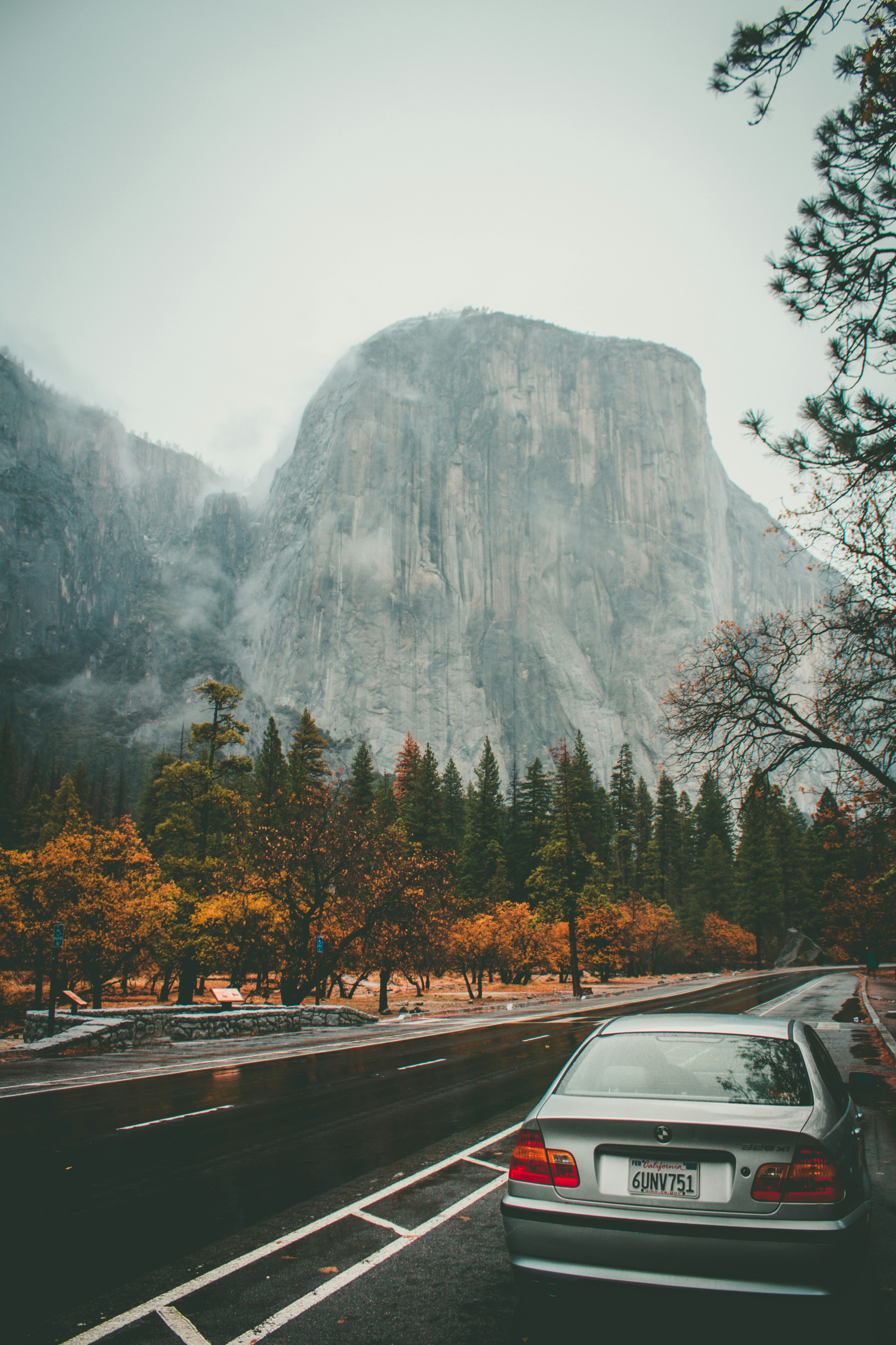 Road Through Autumn to a Mist-Wrapped Granite Dome