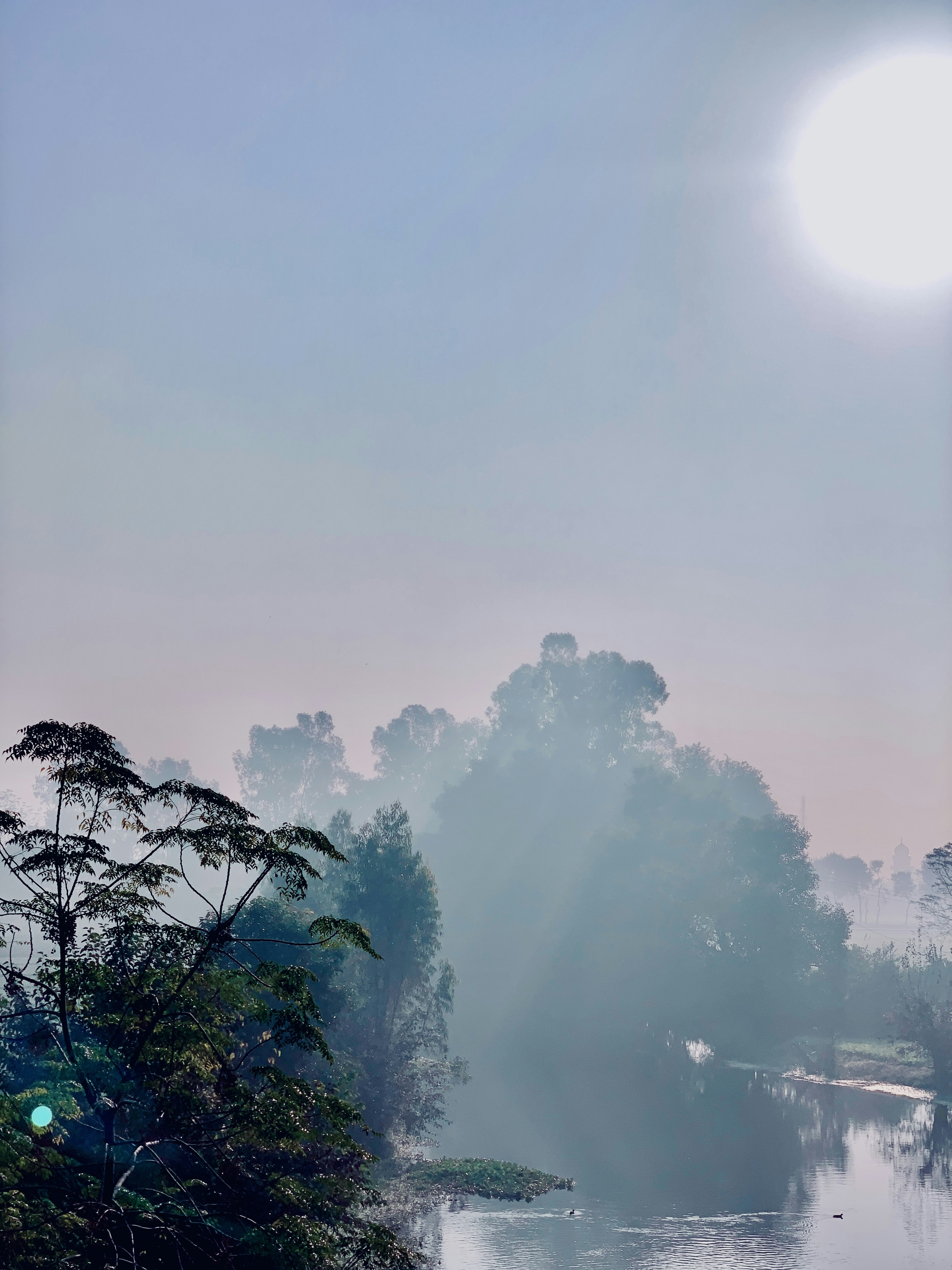 Morning Mist over the River Bend