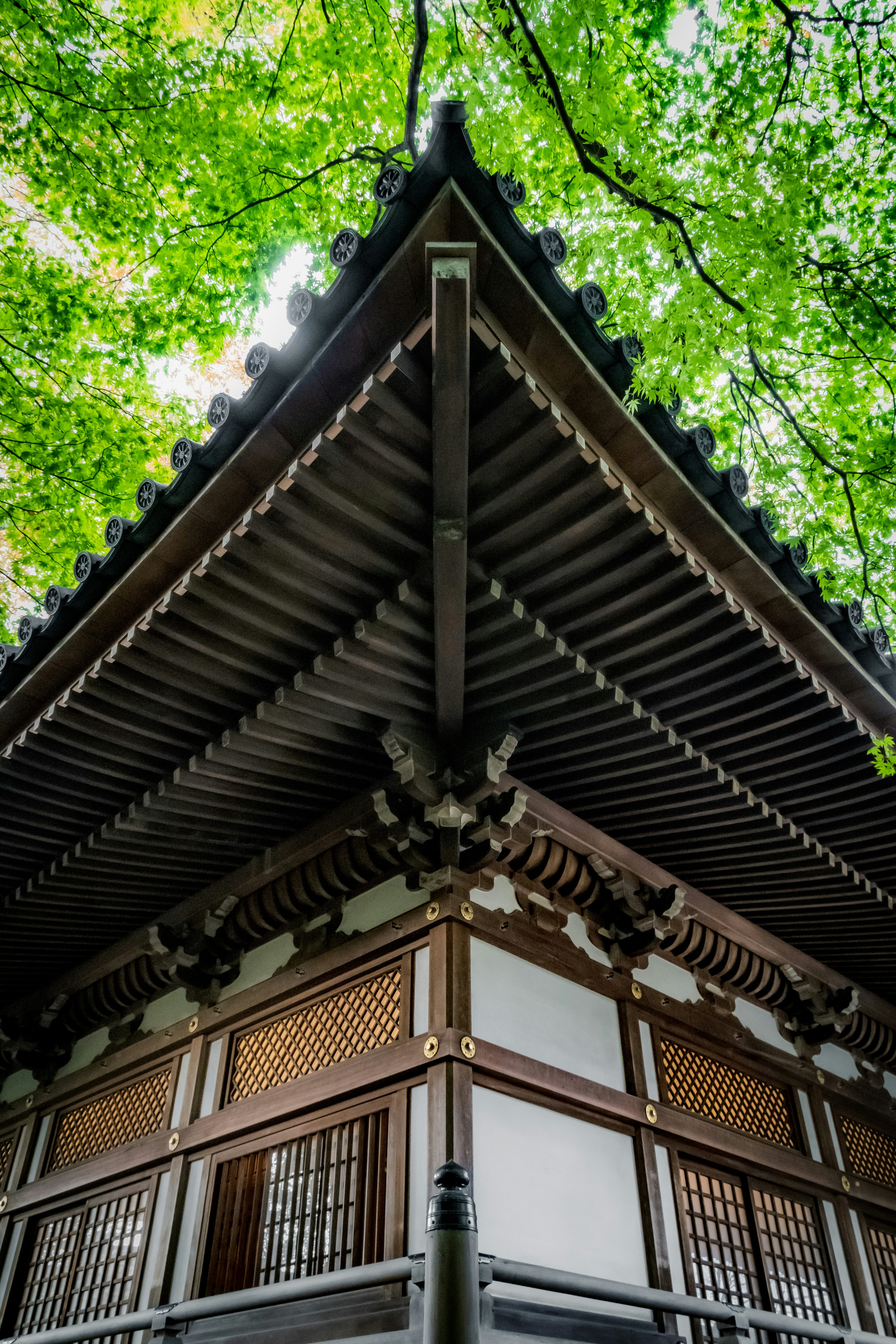 Traditional Japanese architecture framed by lush green foliage, showcasing intricate wooden details and serene design elements.