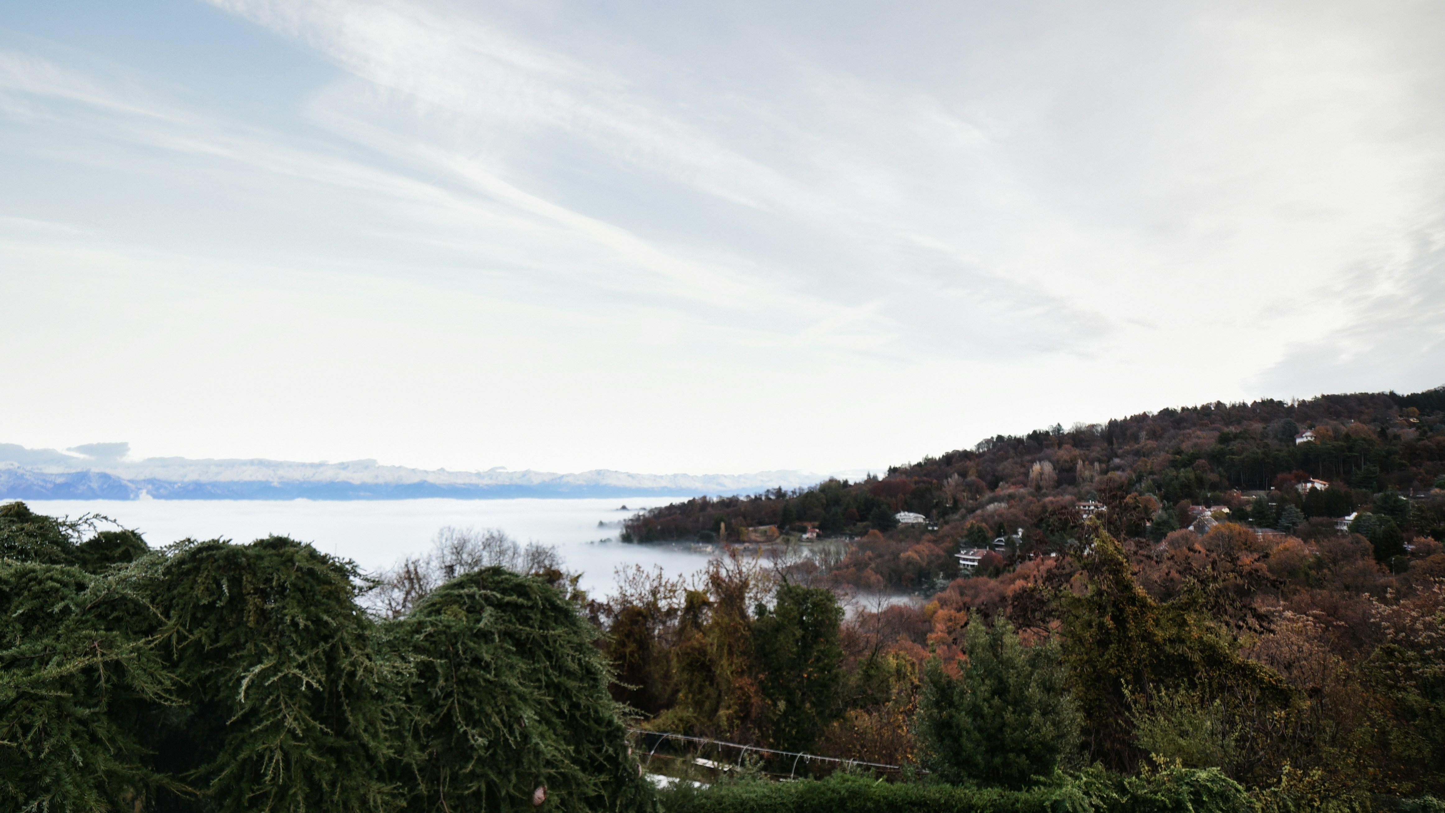 Whispers of Autumn by the Lake