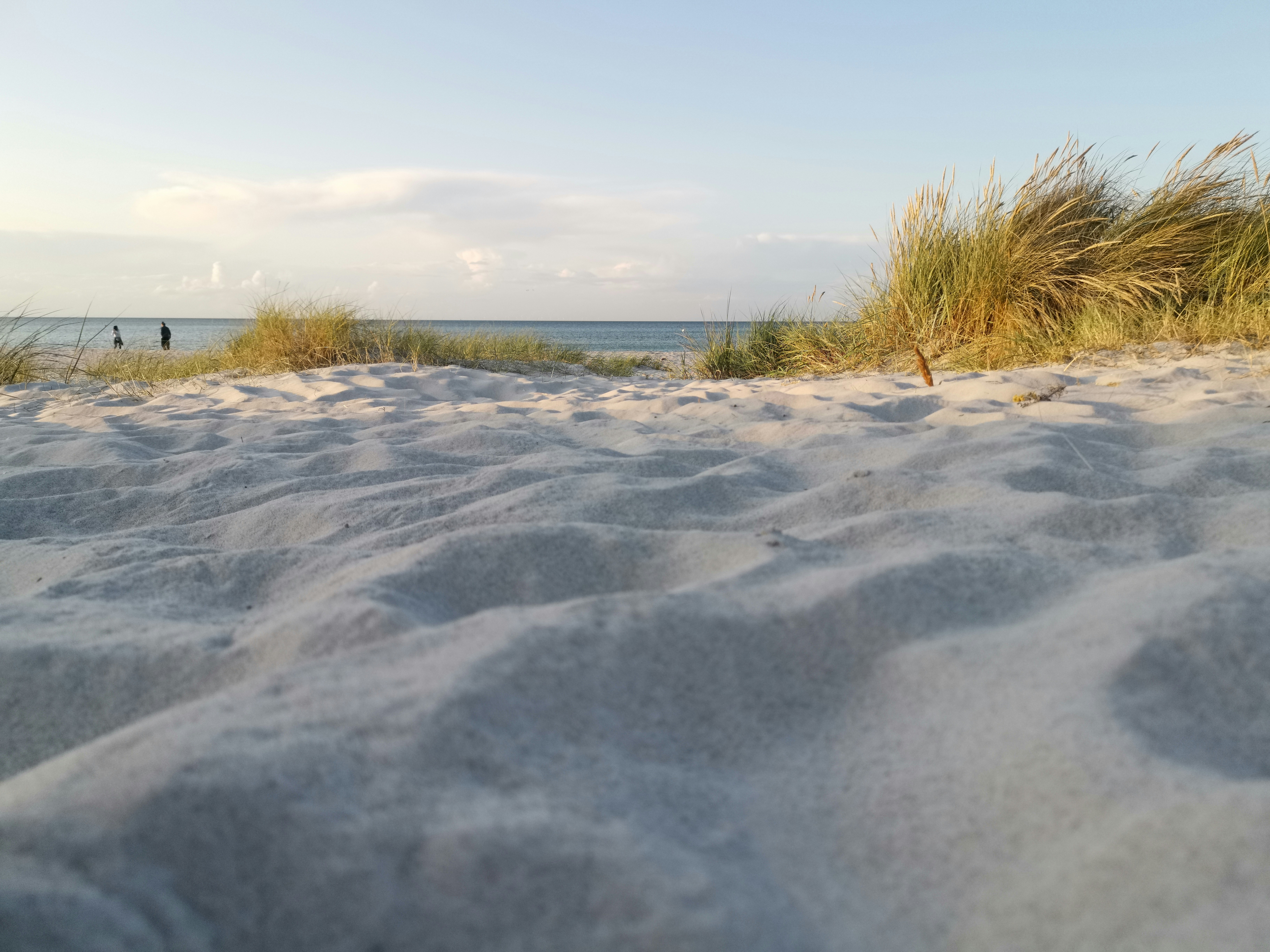 Beach Nature Pictures | Download Free Images on Unsplash