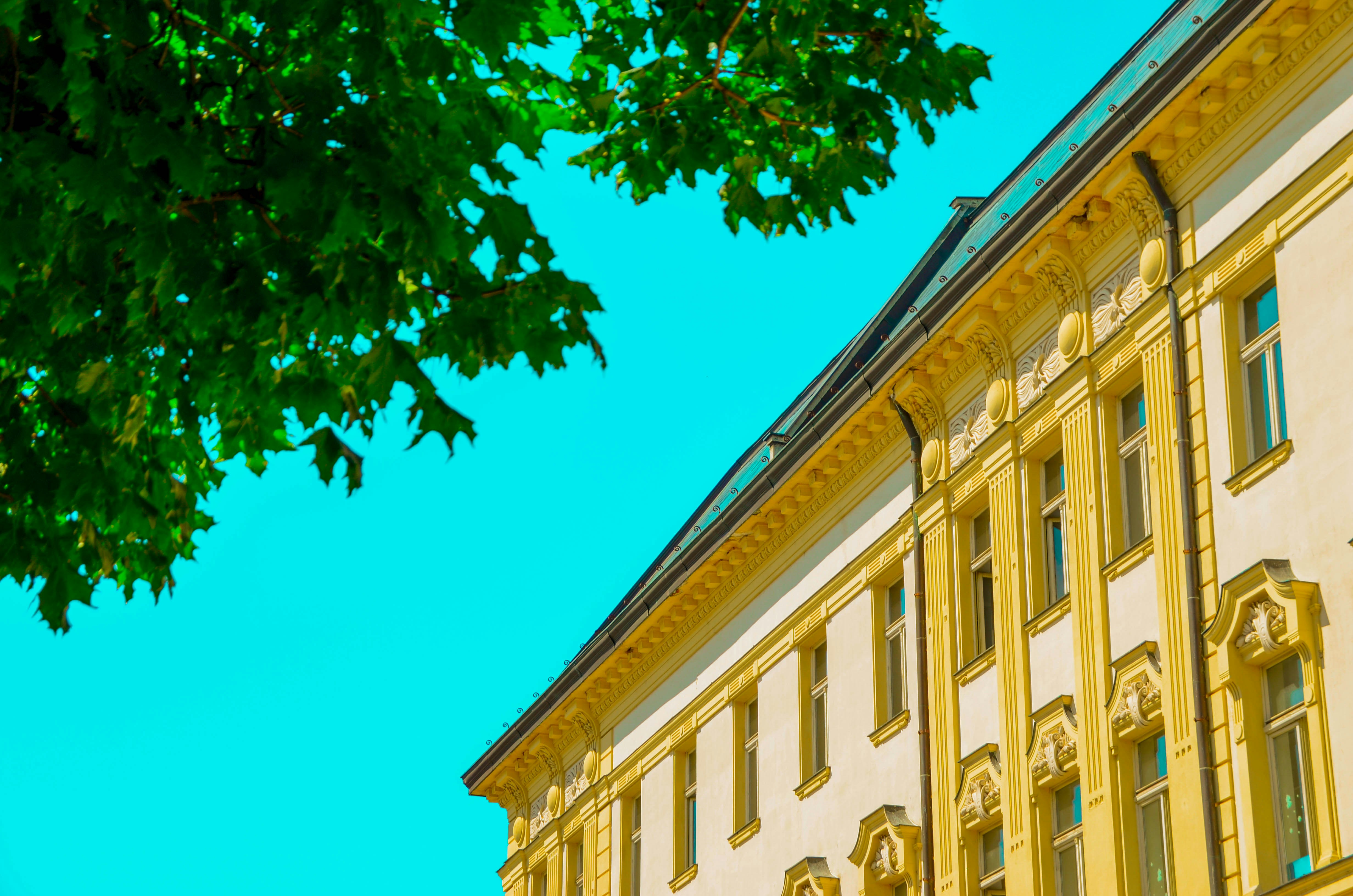 Sunlit Elegance: The Harmony of Architecture and Nature