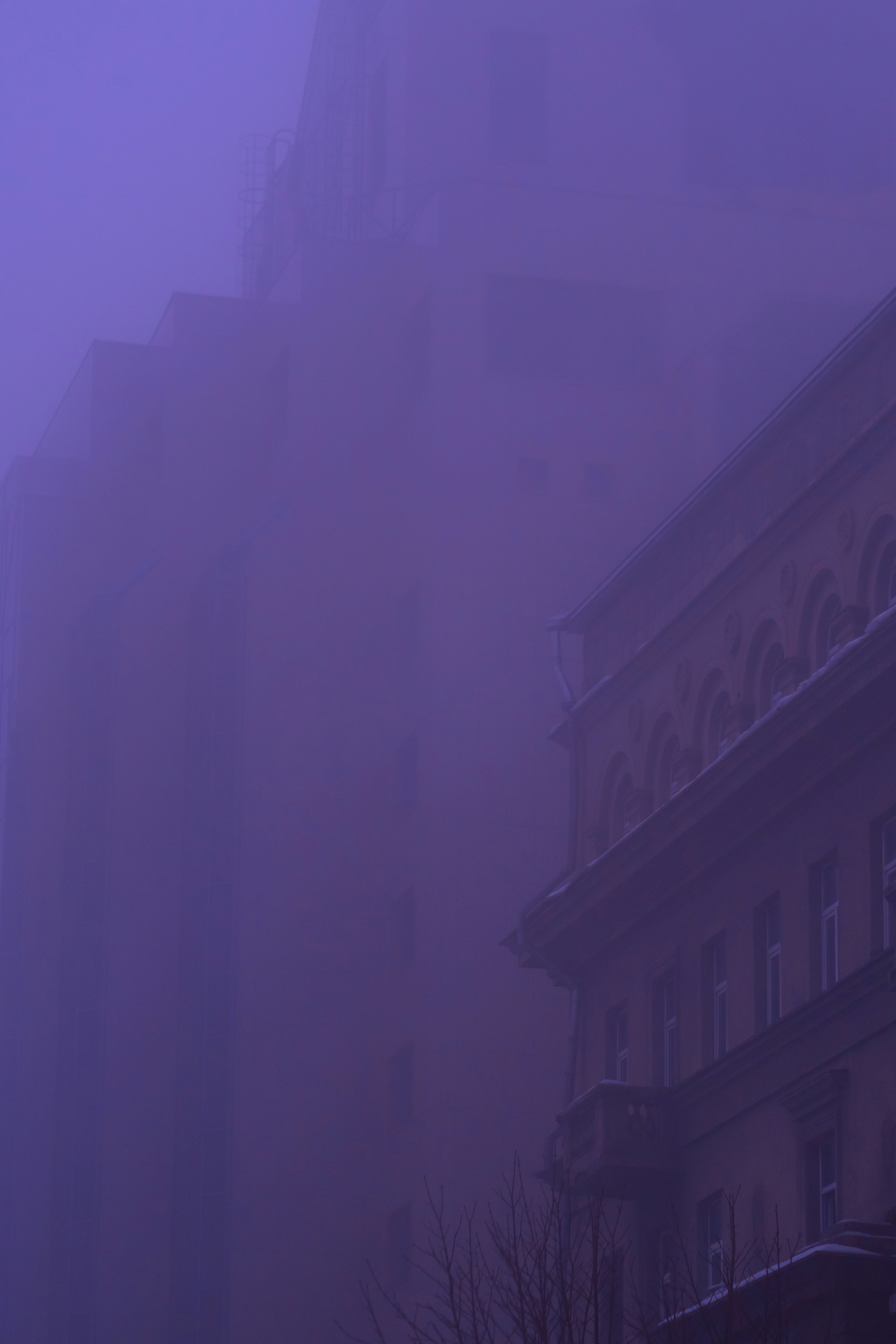 A foggy city street with tall buildings in the background photo – Free ...