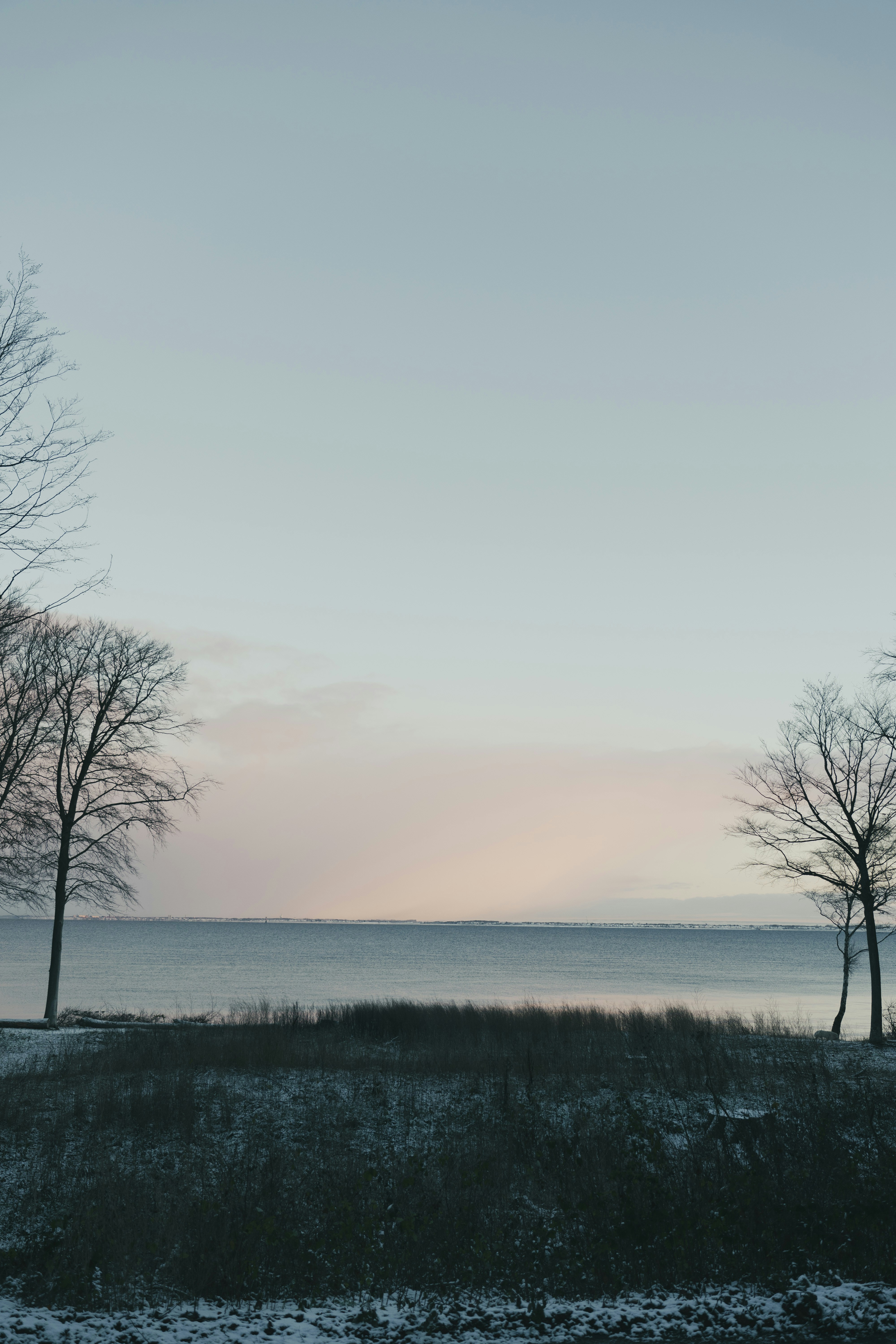 Stay frosty - Denmark December morning