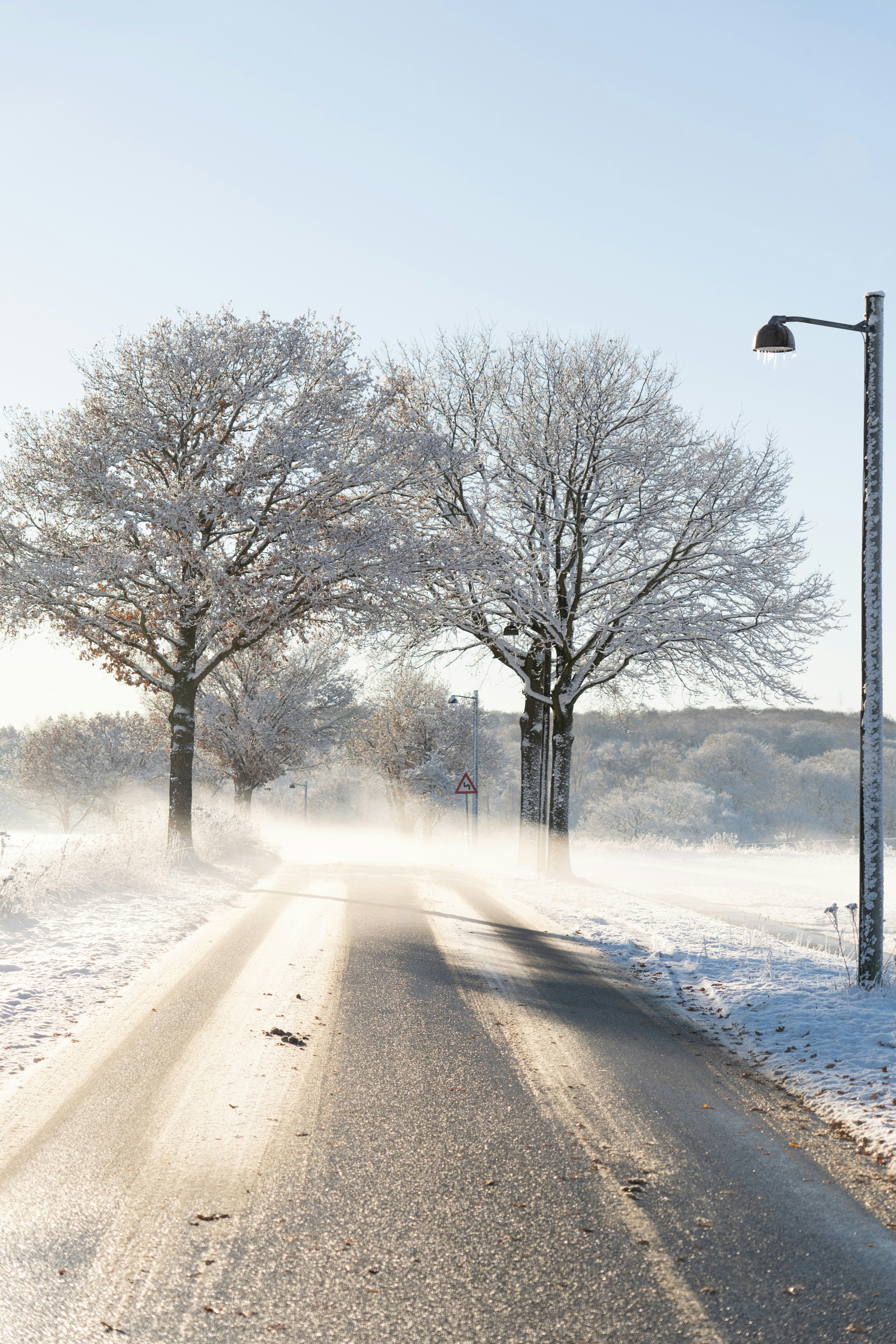 A street with snow on the ground and trees photo – Free Denmark Image ...