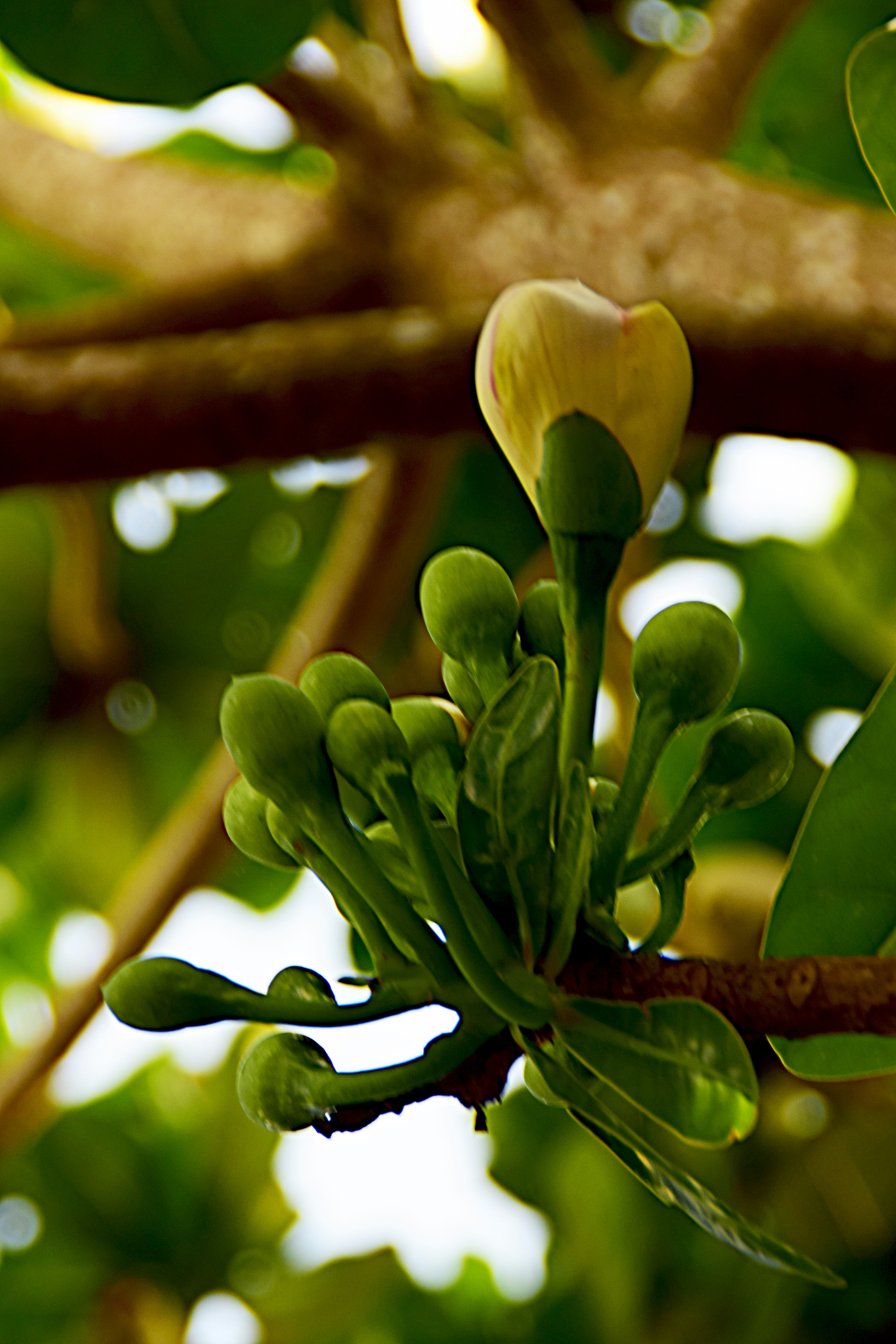 Imágenes de Bitoon | Descarga imágenes gratuitas en Unsplash