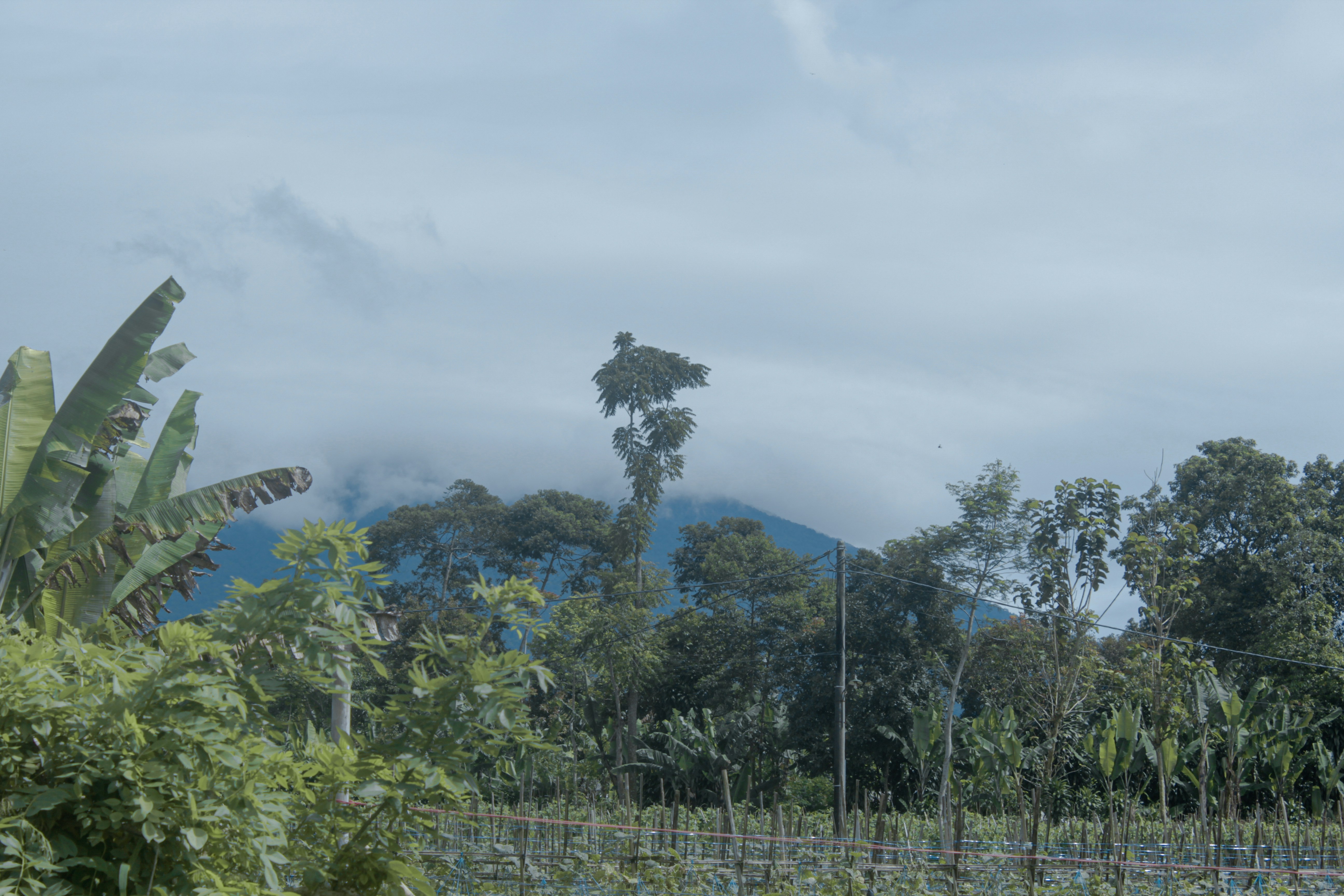 support my commercial photo