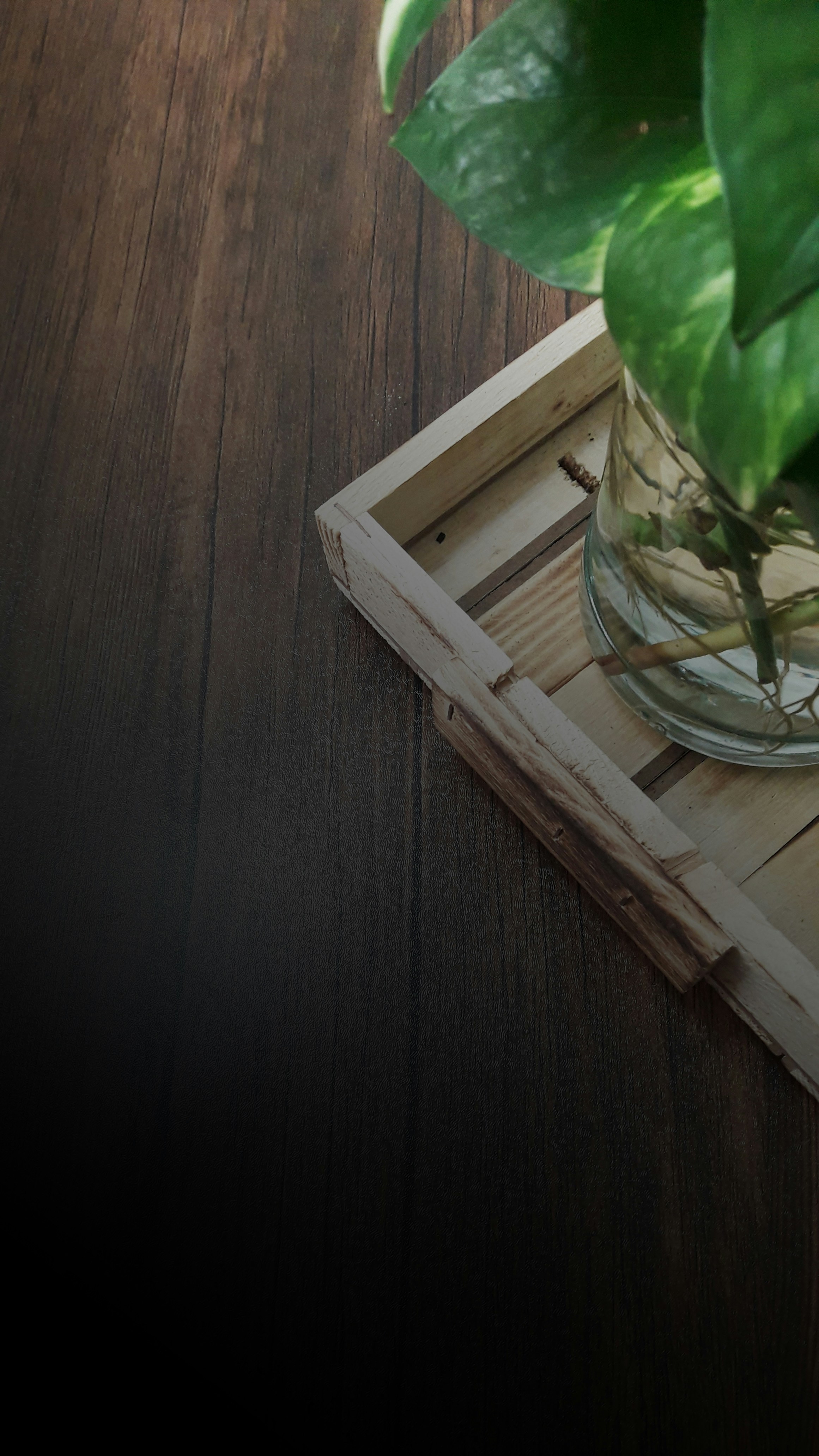 A plant in a glass vase on a wooden tray photo – Free #wallpaper Image ...