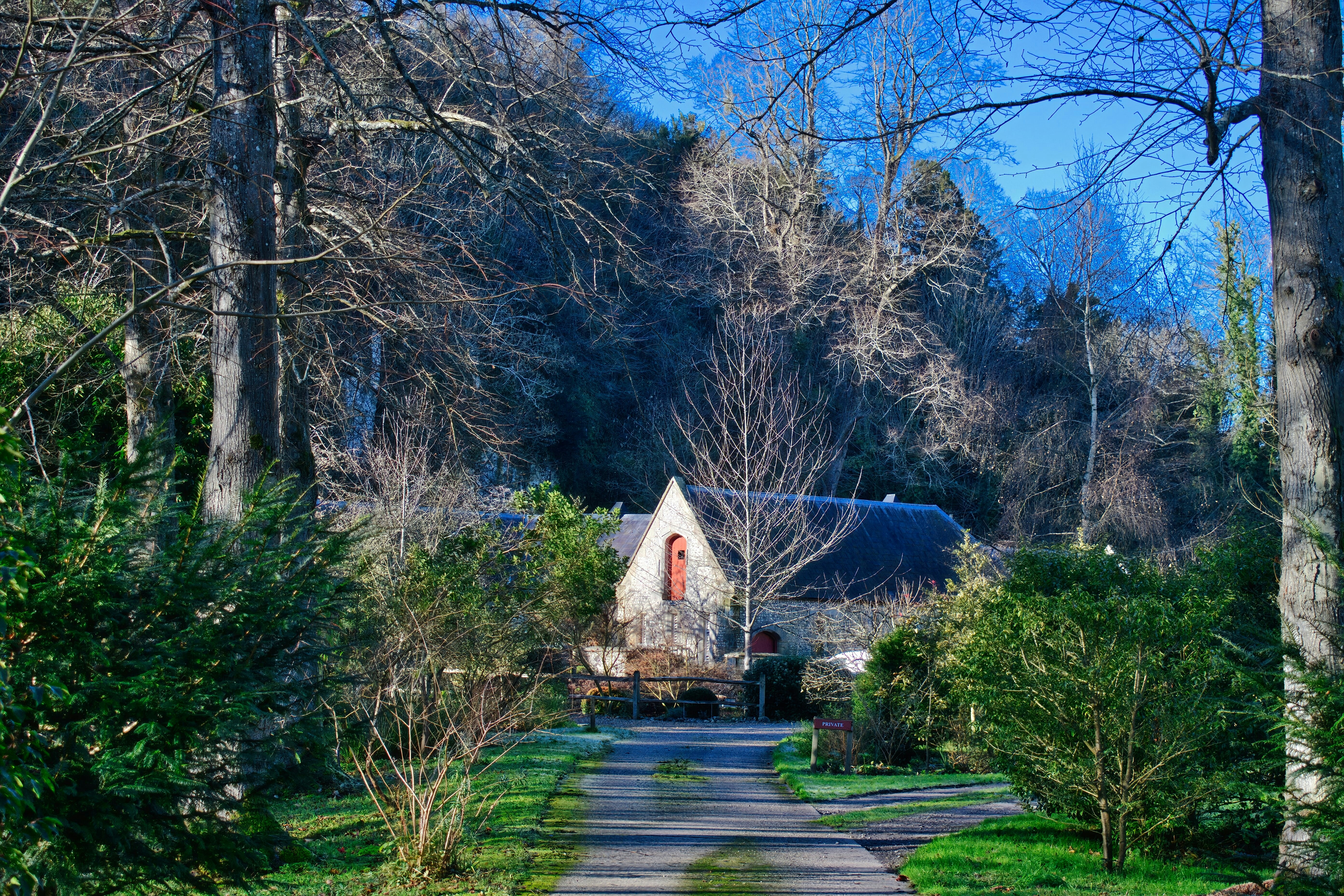 Whispers of Nature: A Serene Pathway