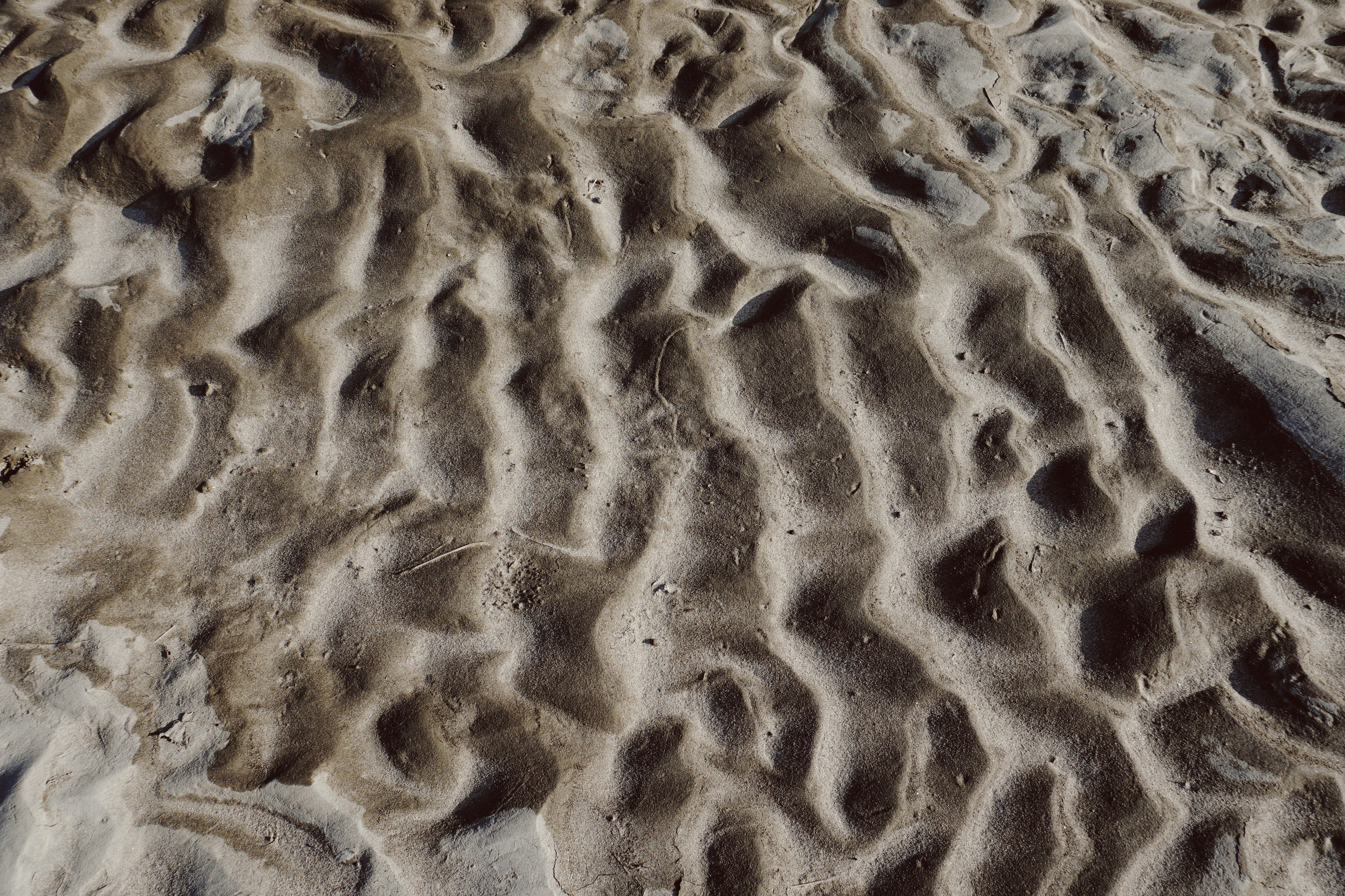 A sandy beach covered in lots of sand photo – Free Image on Unsplash