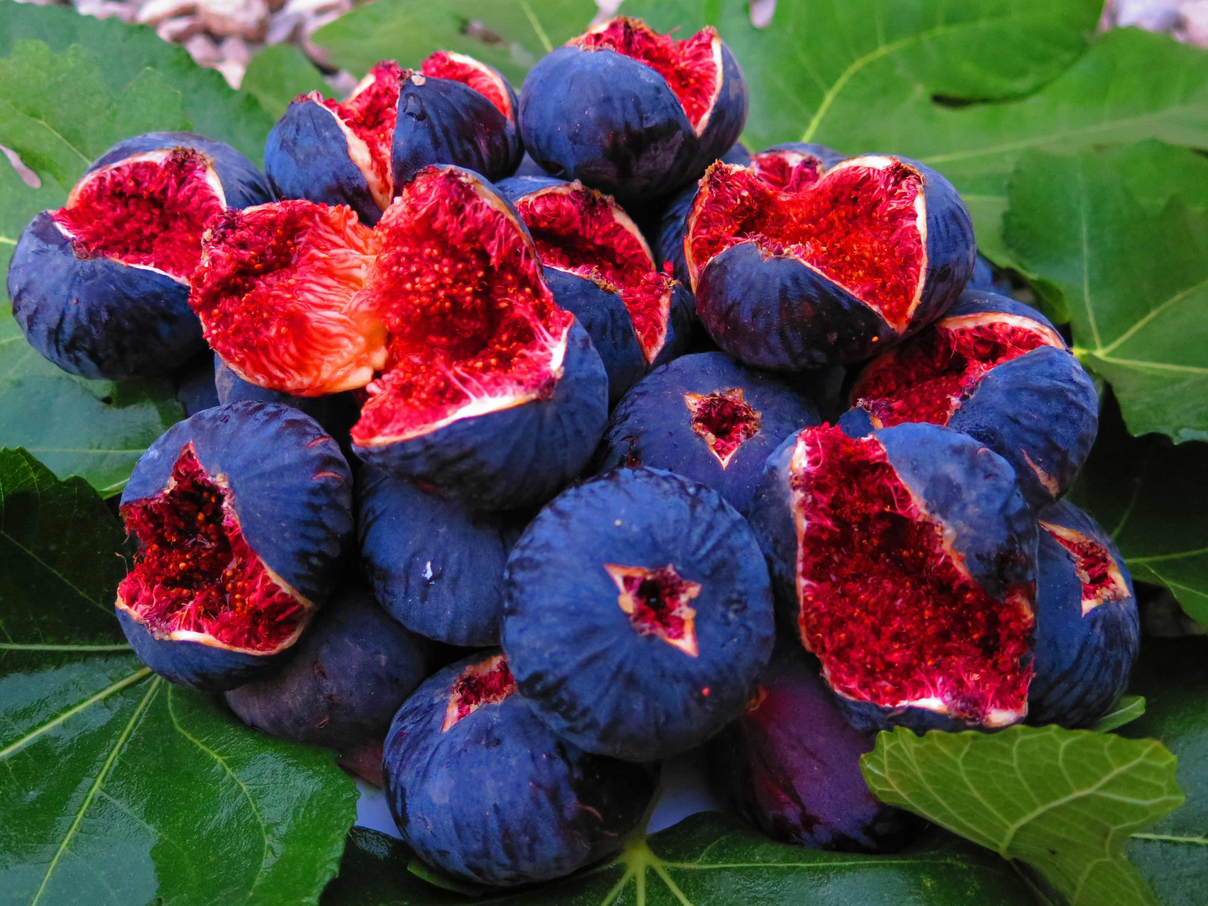 Vibrant figs with their skins partially peeled back, revealing rich, red interiors, resting on lush green leaves.