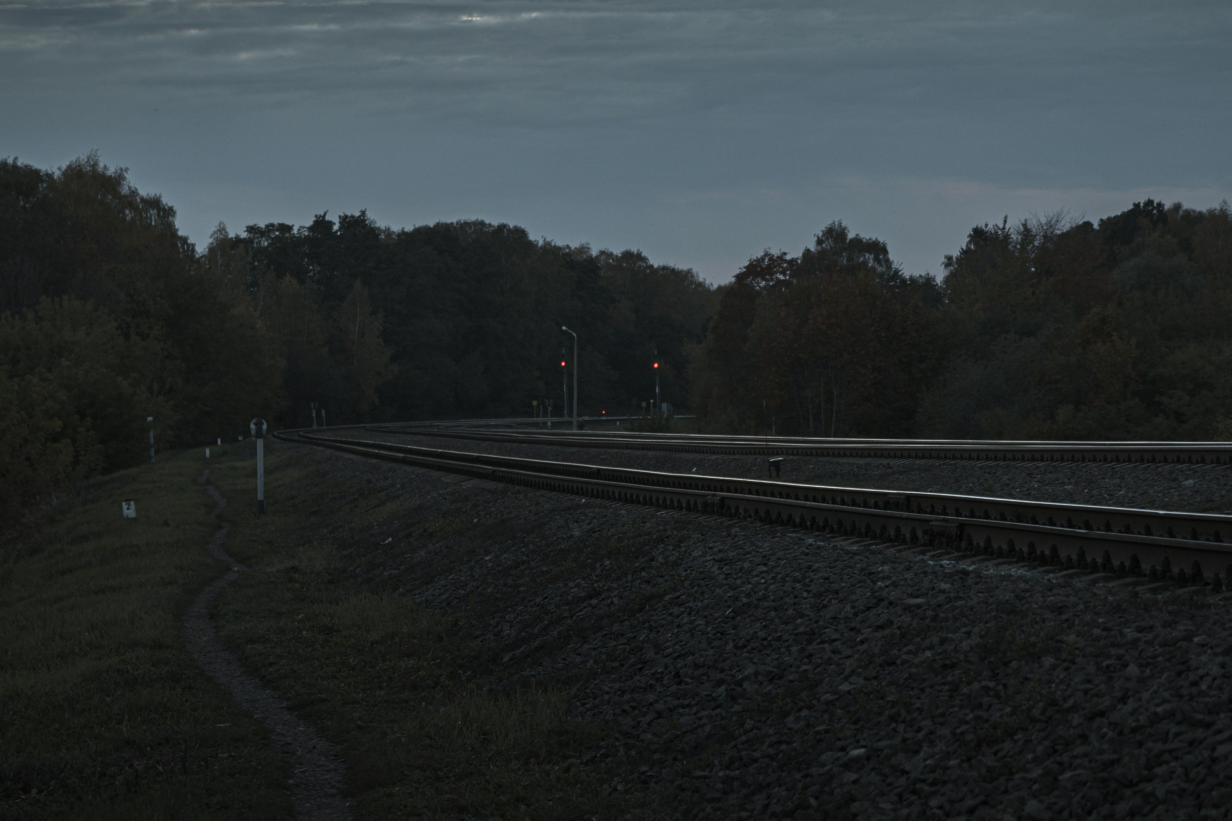 A train track running through a forest at night photo – Free Road Image ...