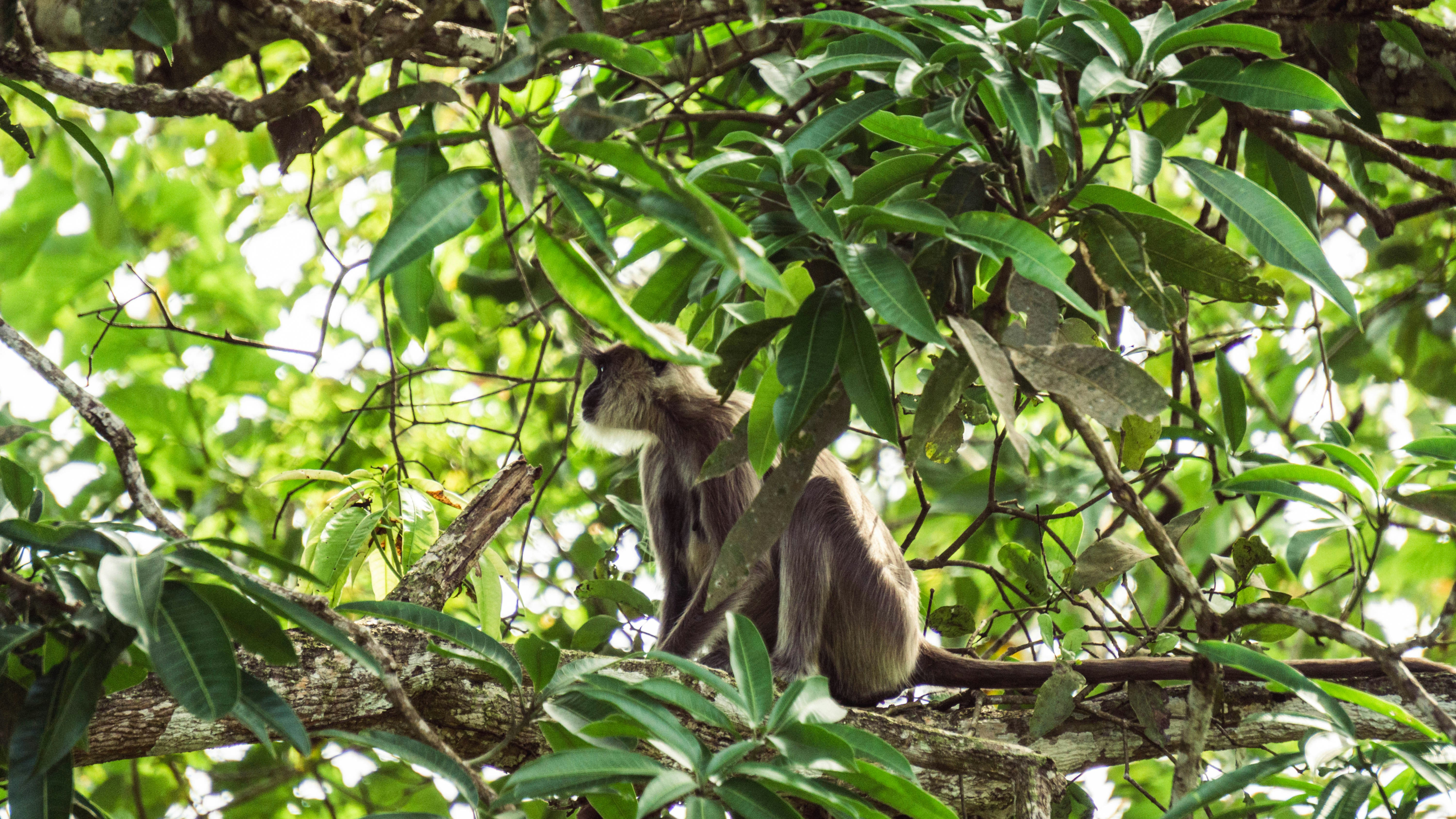 Photo by Anastasiia Malai with Sony Alpha 6000