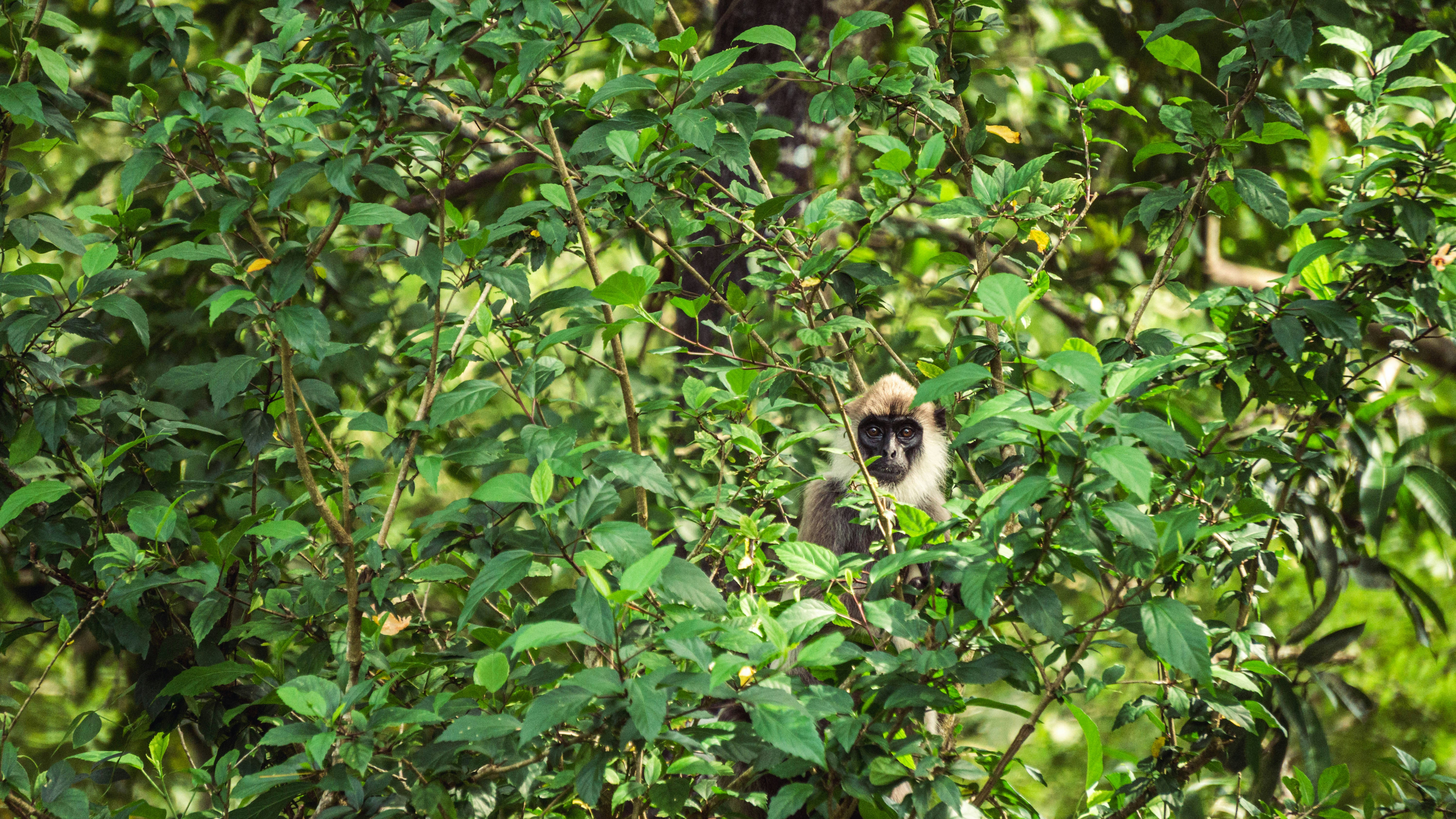 Photo by Anastasiia Malai with Sony Alpha 6000