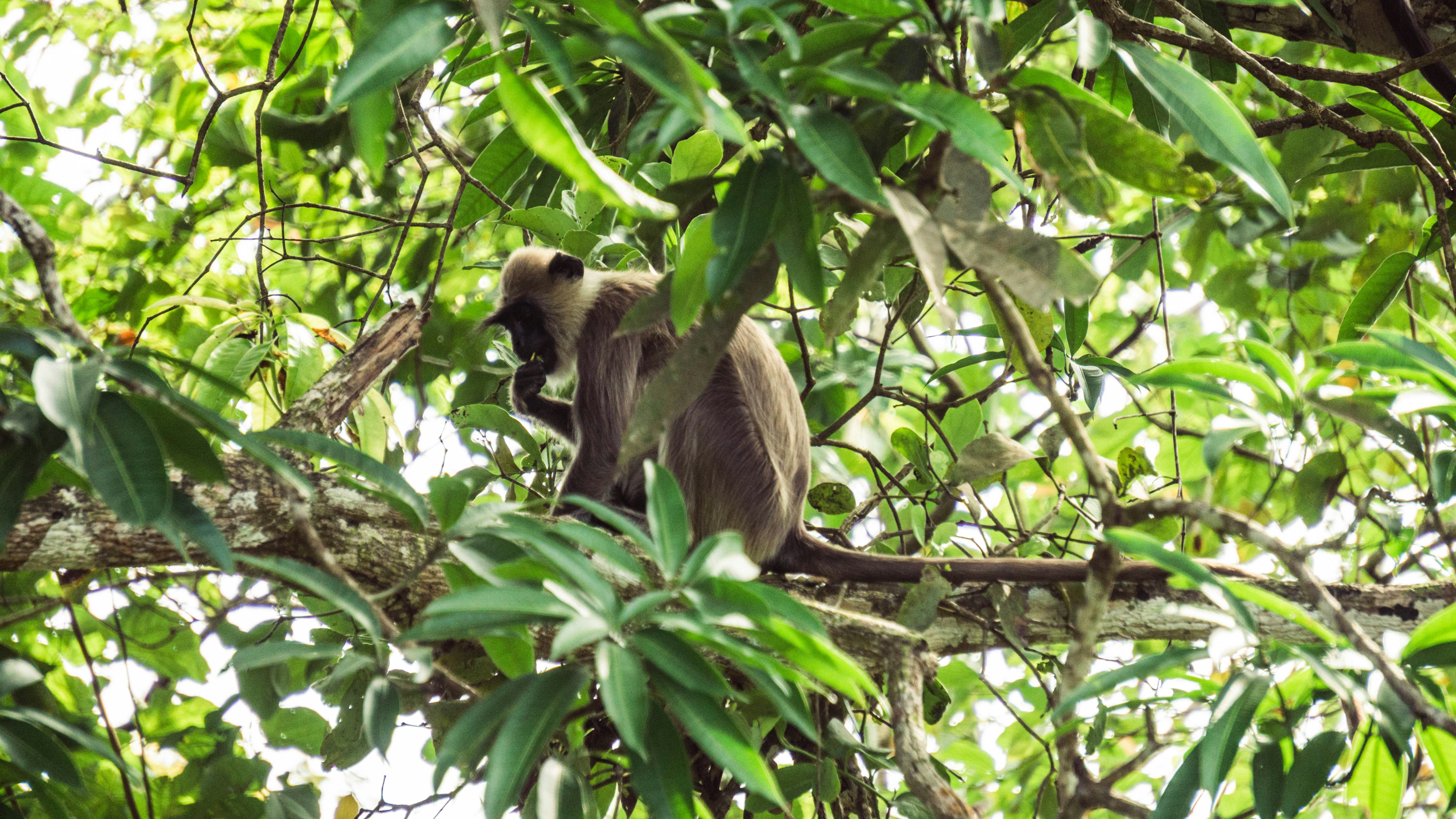 Photo by Anastasiia Malai with Sony Alpha 6000